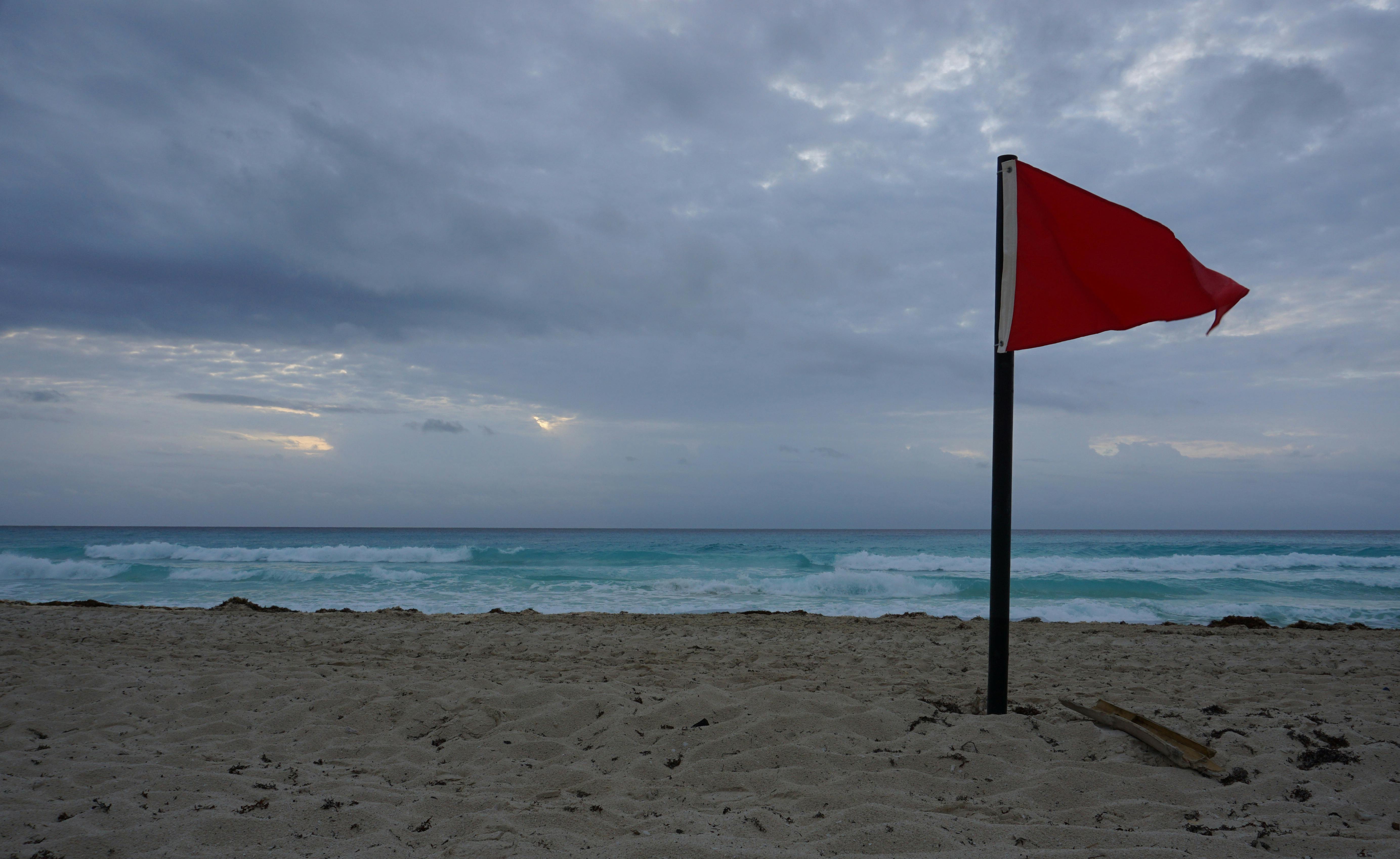 Nature Snapshots 28 Photos & Videos Collected by Julia