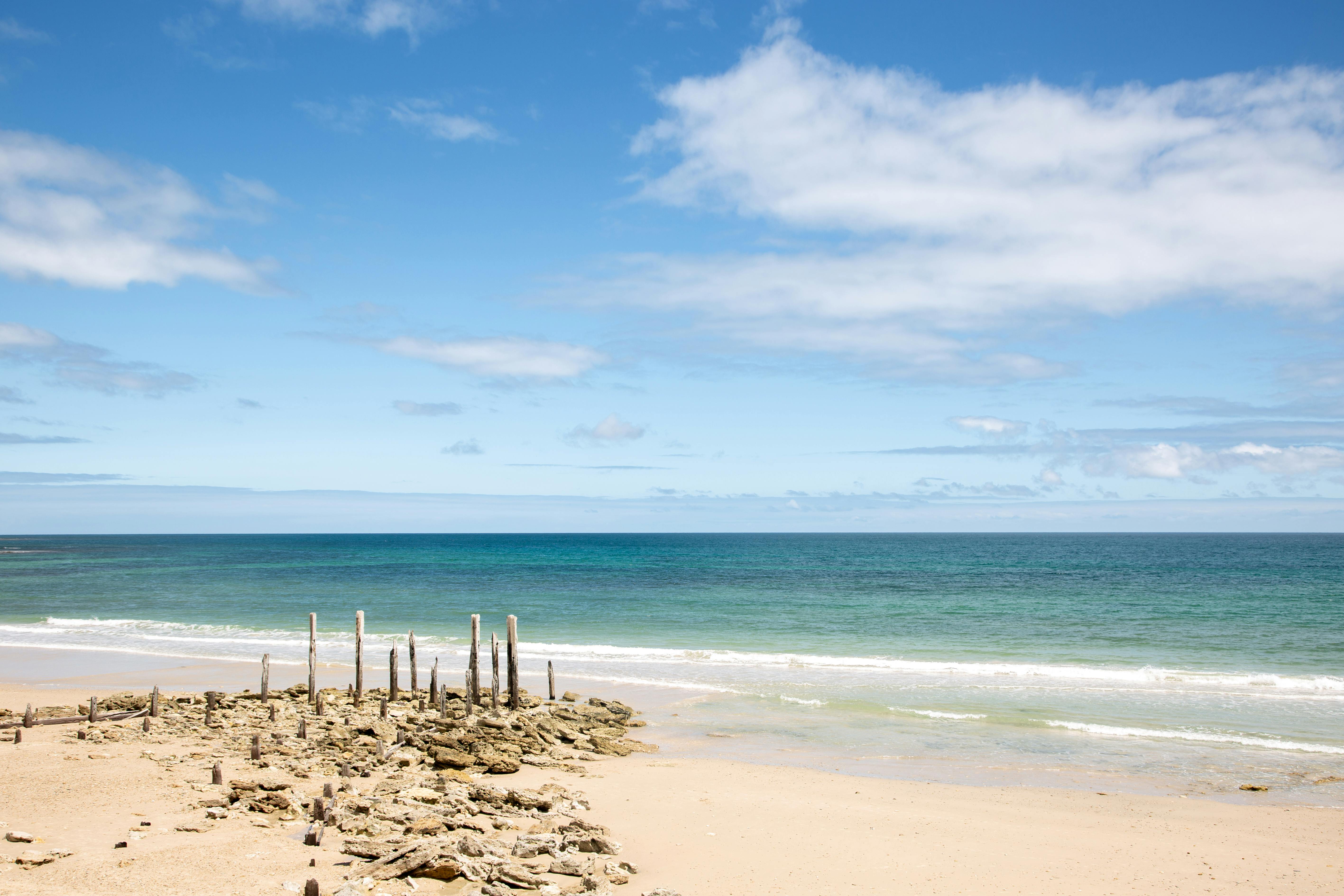 Photo of a Beach · Free Stock Photo