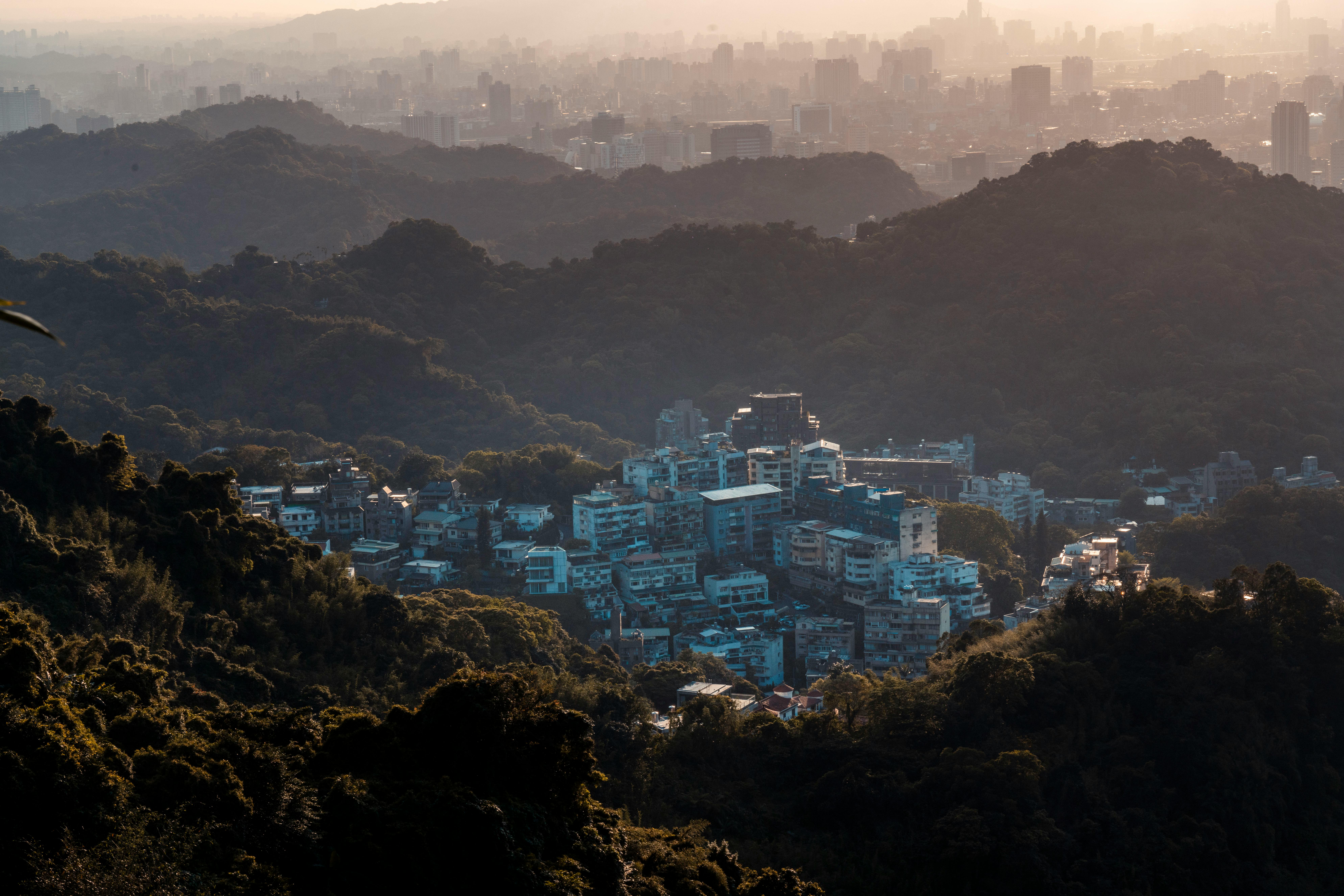 City Surrounded by Trees · Free Stock Photo