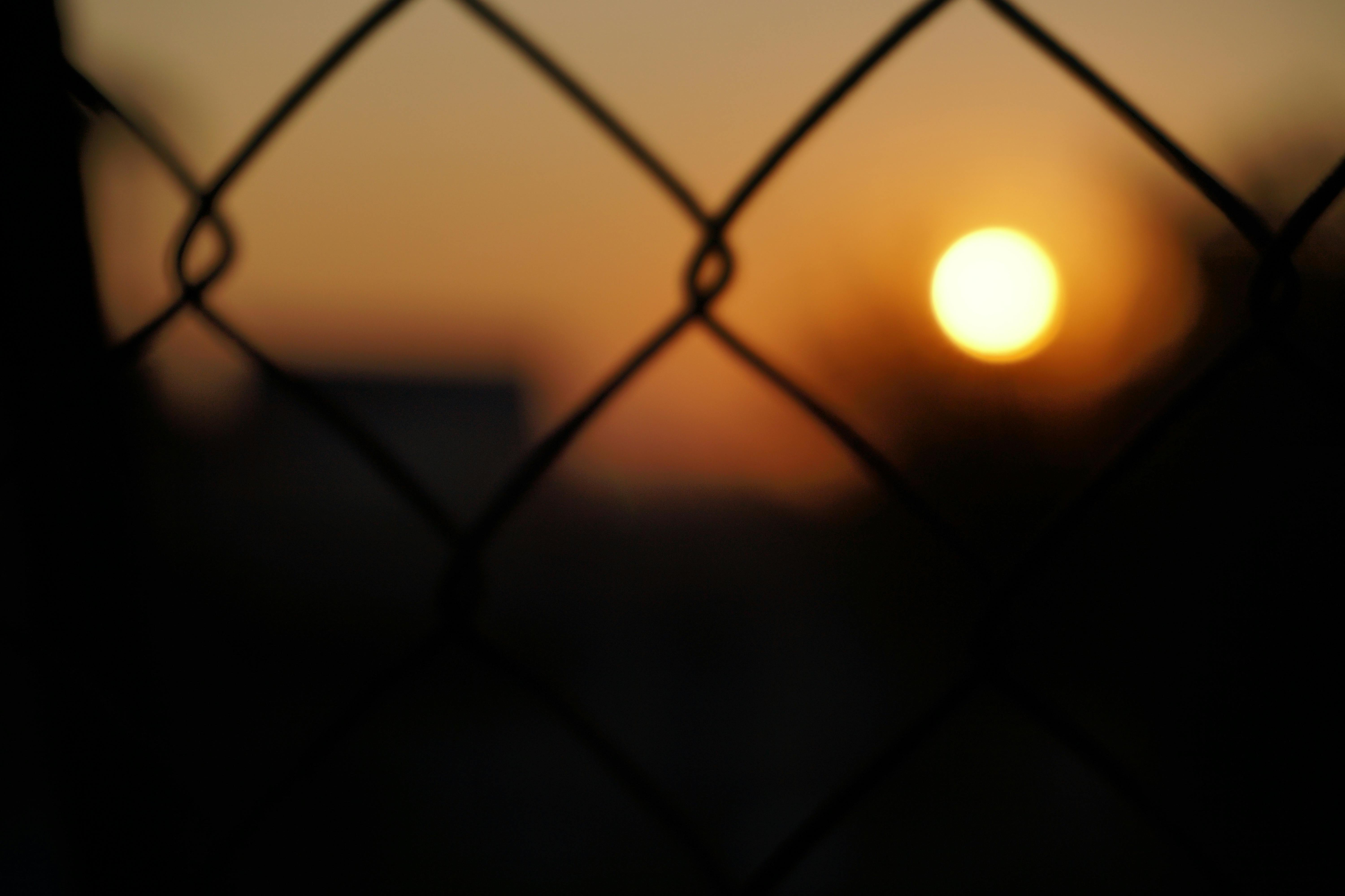 Wire Mesh · Free Stock Photo