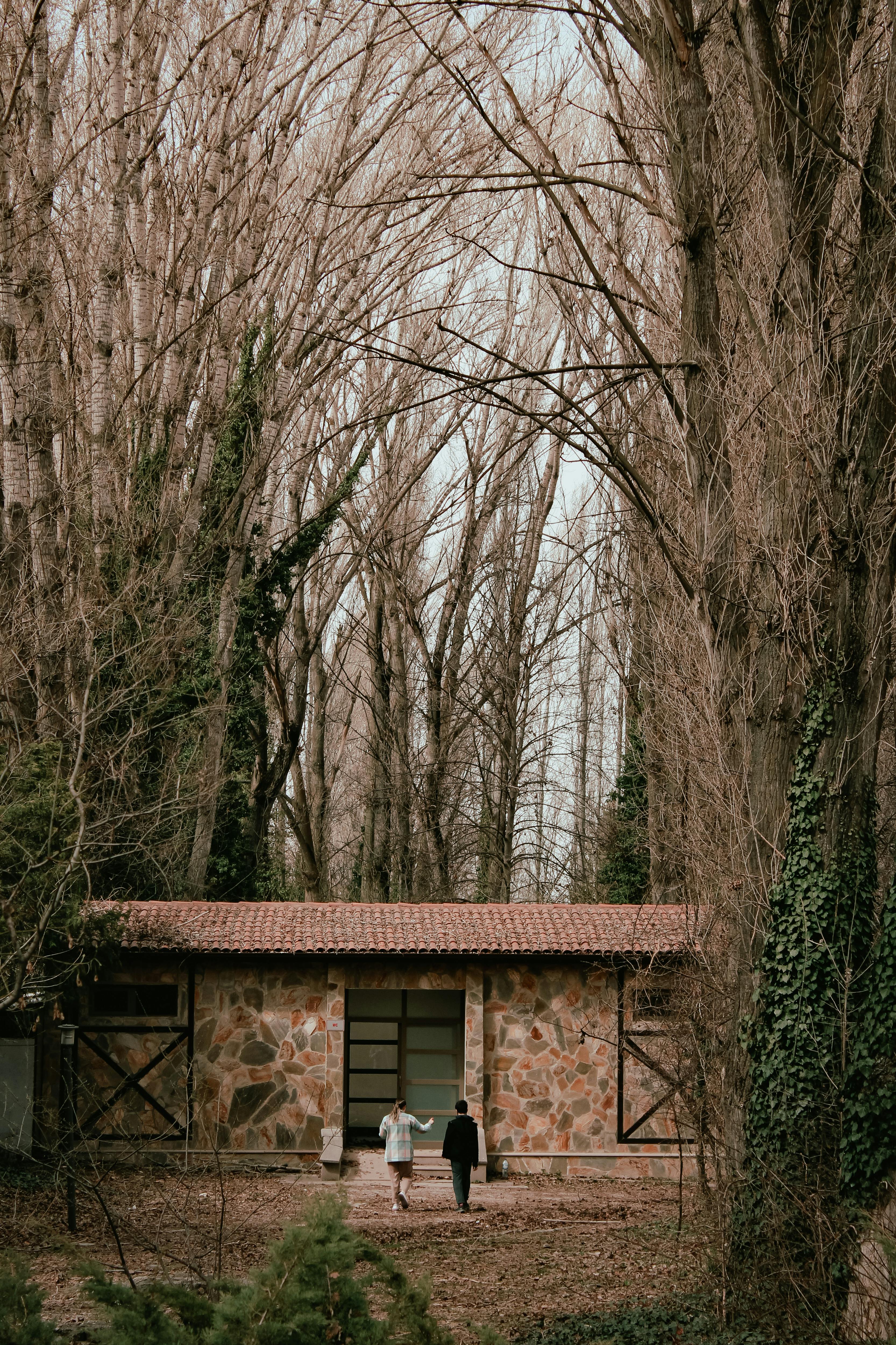 A Building in a Forest · Free Stock Photo