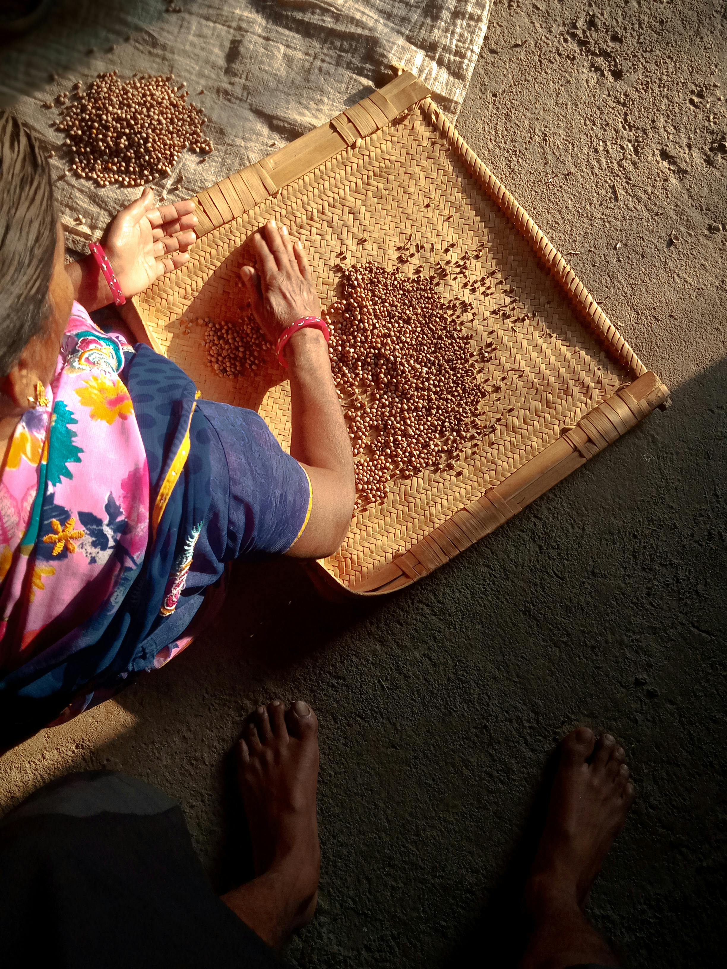 People Standing on a Mat with Grains Holding Winnowing Baskets · Free ...