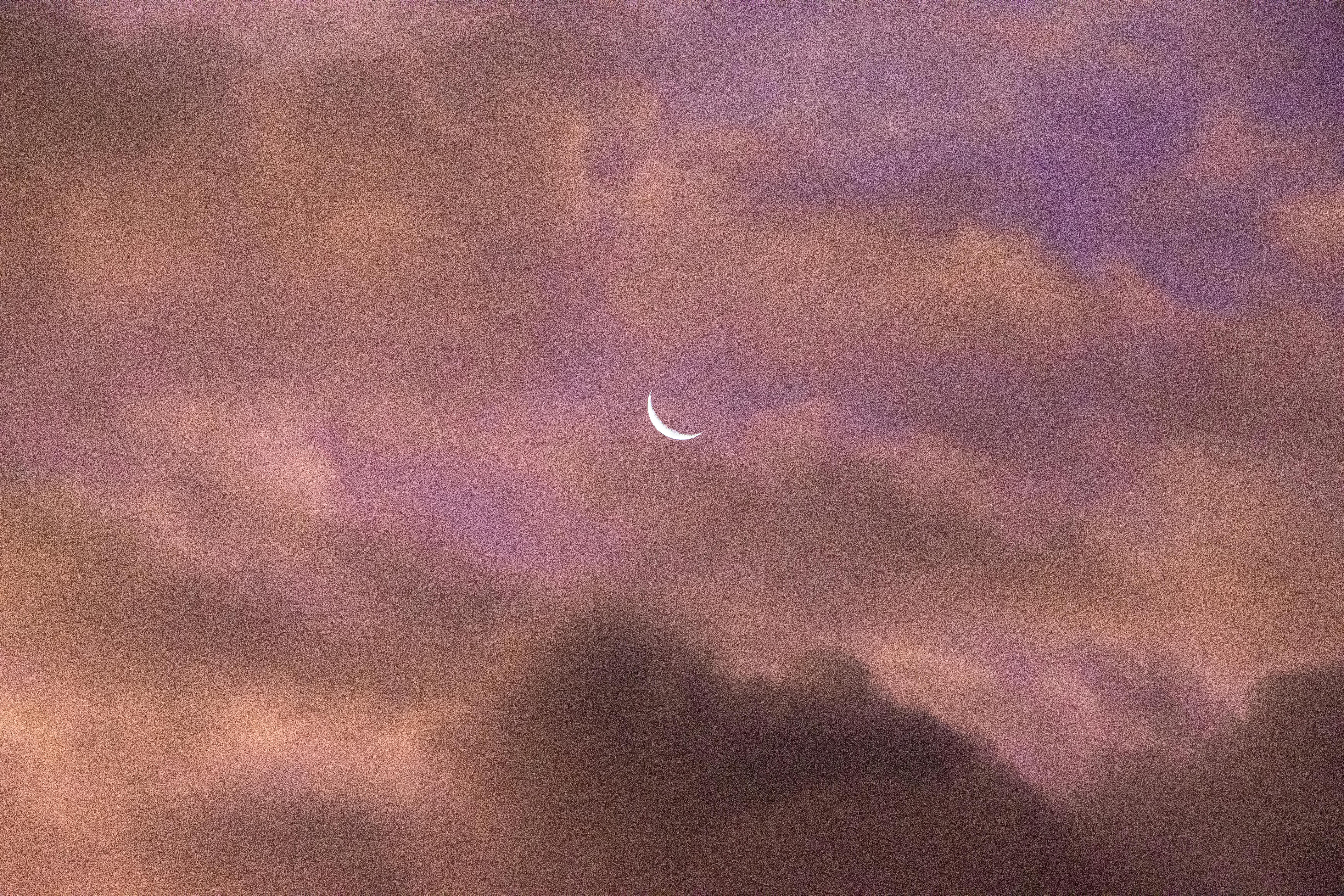 Half Moon in the Sky · Free Stock Photo