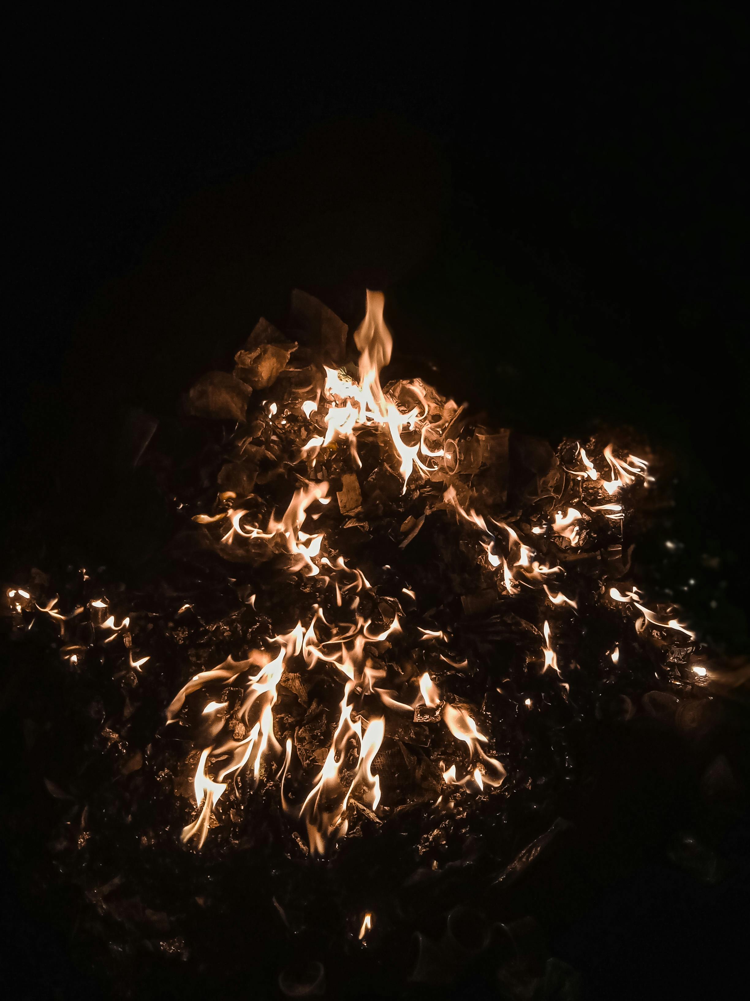 Fire and Charcoal With Black Background · Free Stock Photo