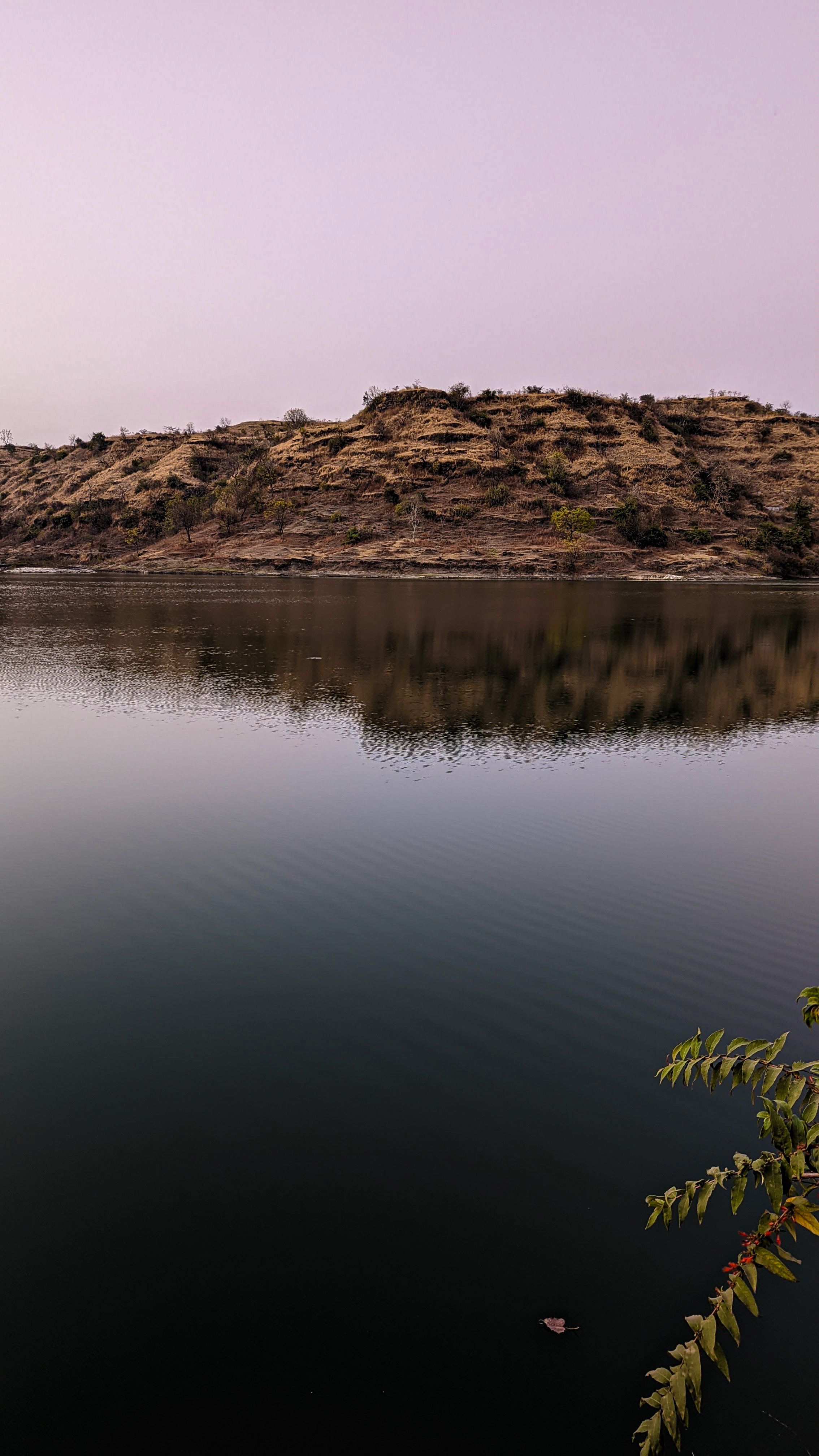 A Placid River · Free Stock Photo