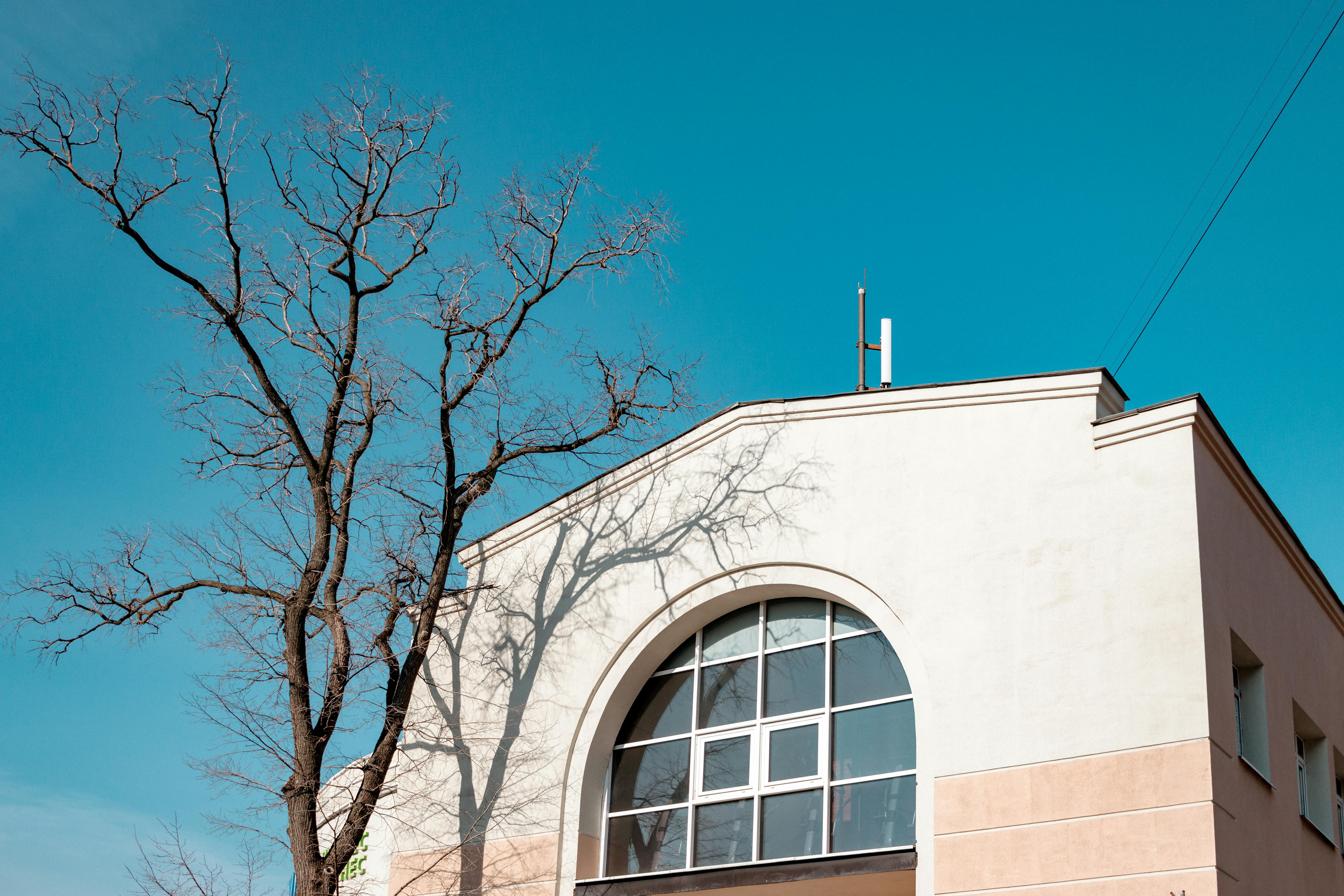 Bare Tree Beside Concrete Building · Free Stock Photo