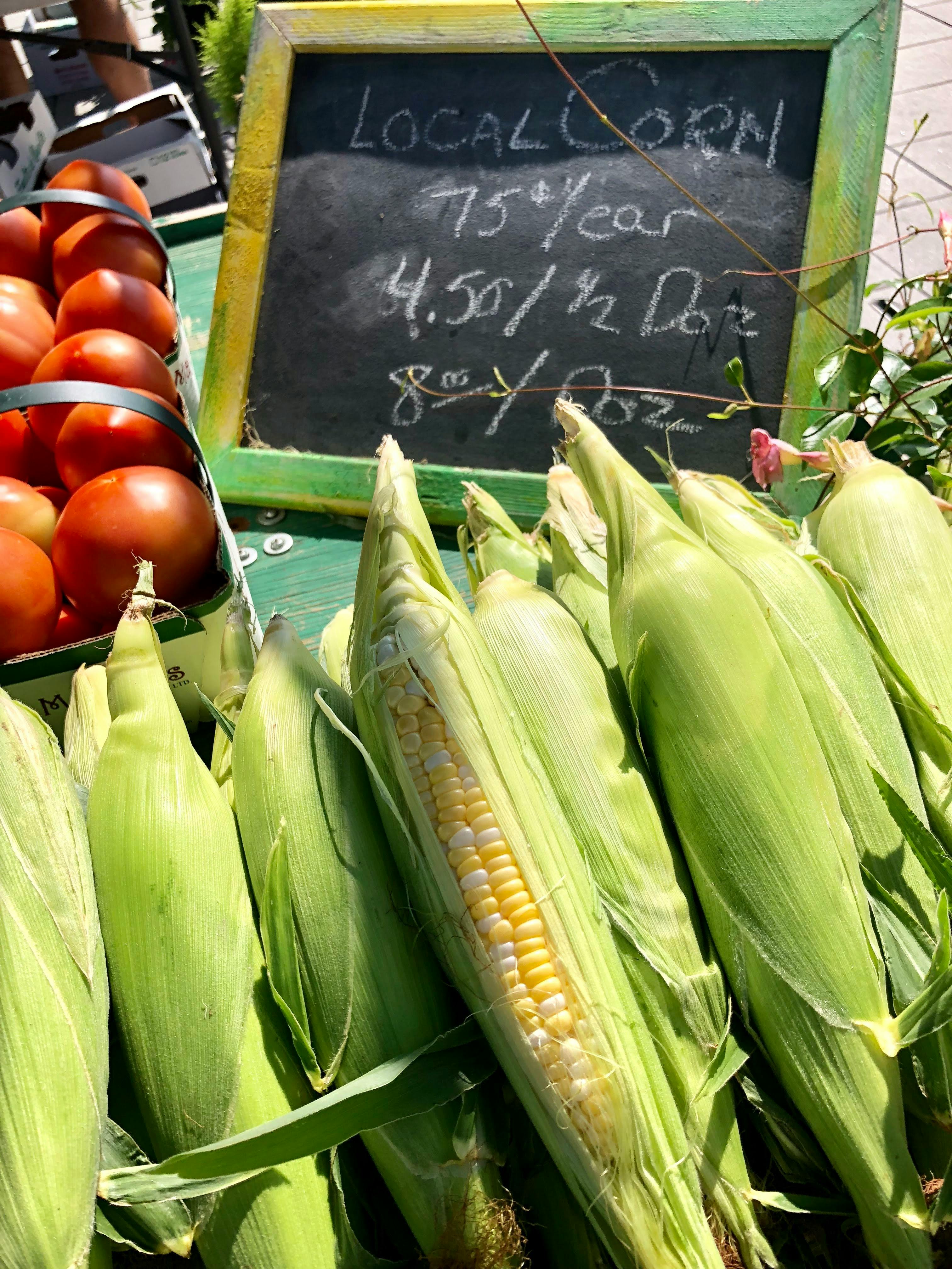 Planches De Corns Photos, Download The BEST Free Planches De Corns ...