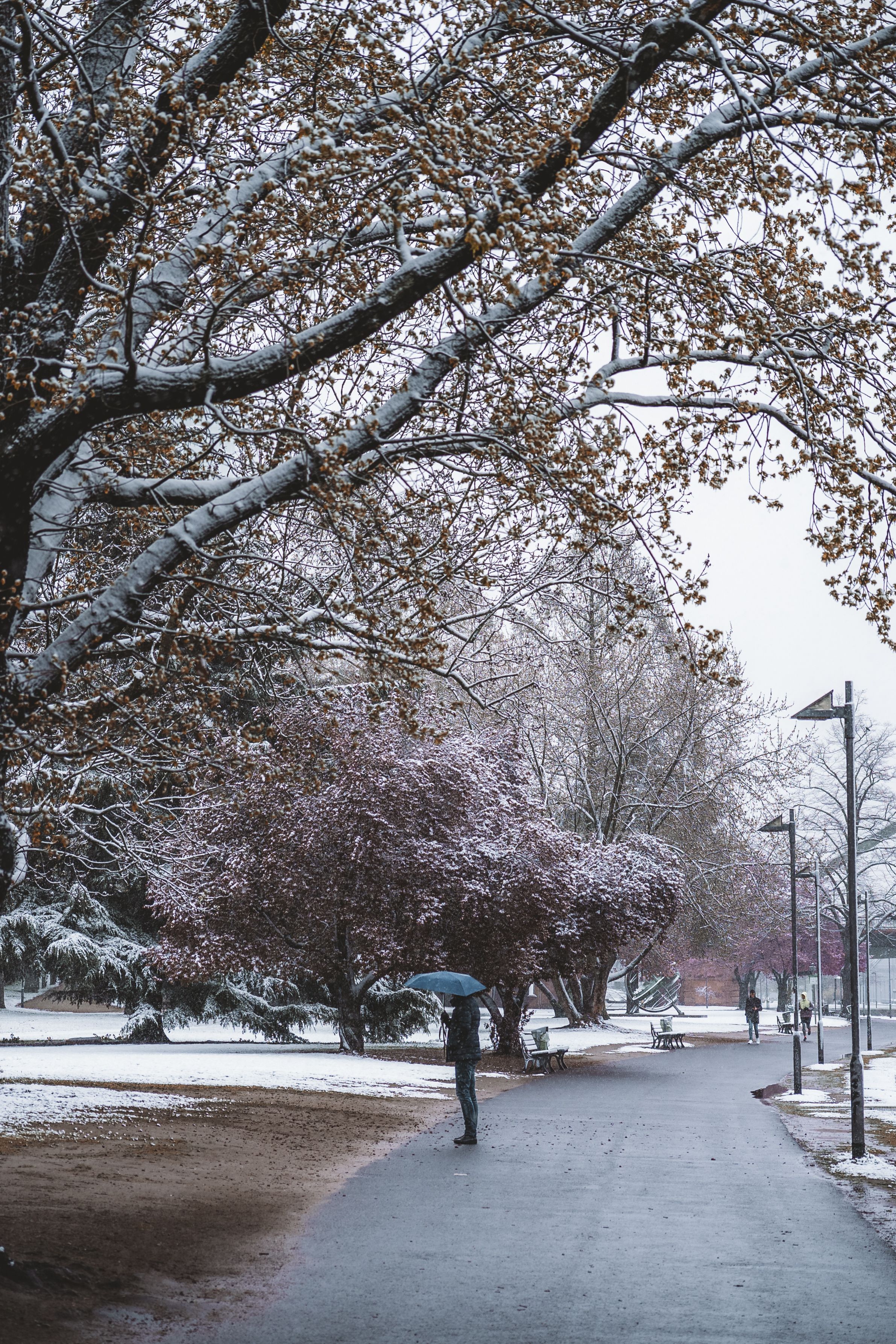 52,956+ Best Free Cold weather Stock Photos & Images · 100% Royalty ...