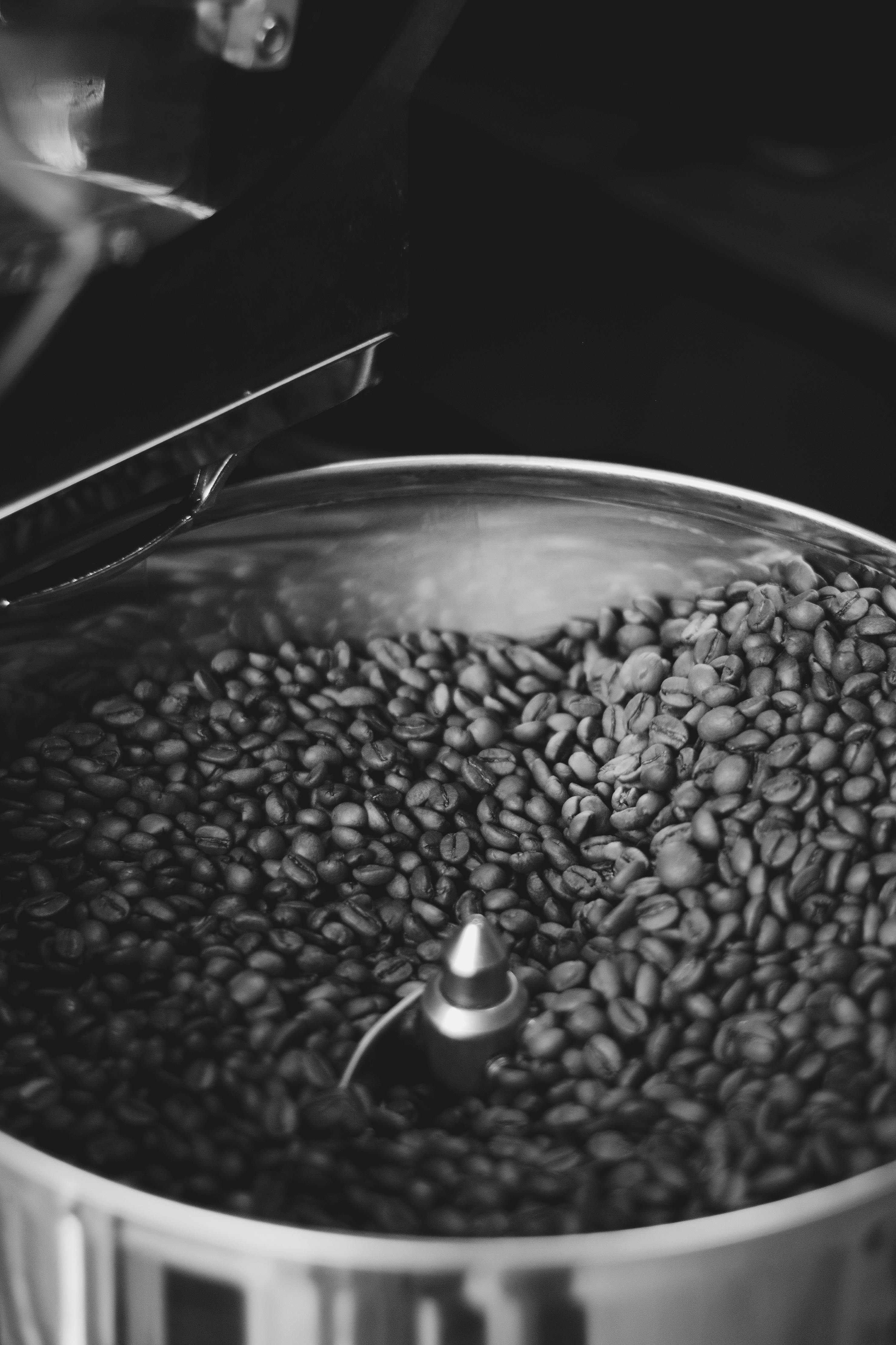 Grayscale Photo of Roasted Coffee Beans · Free Stock Photo