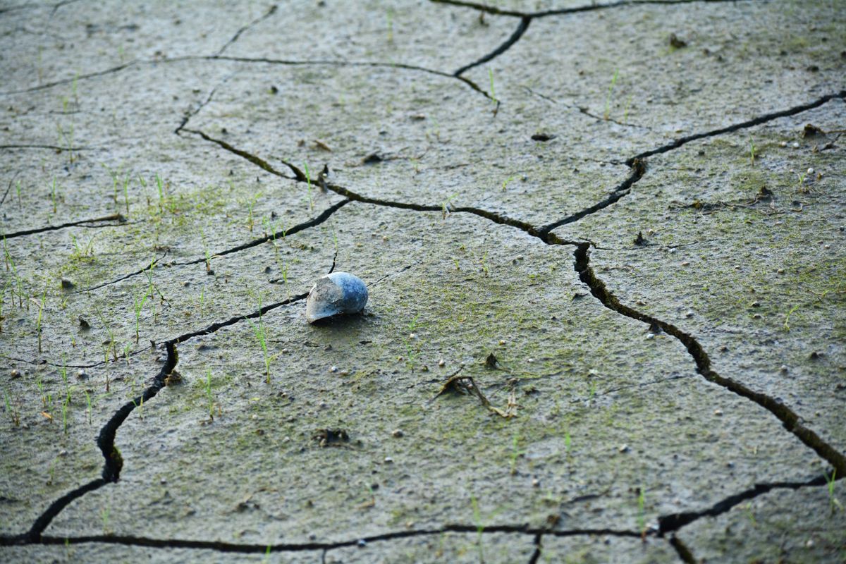 Climate Change Background Photos, Download The BEST Free Climate Change ...