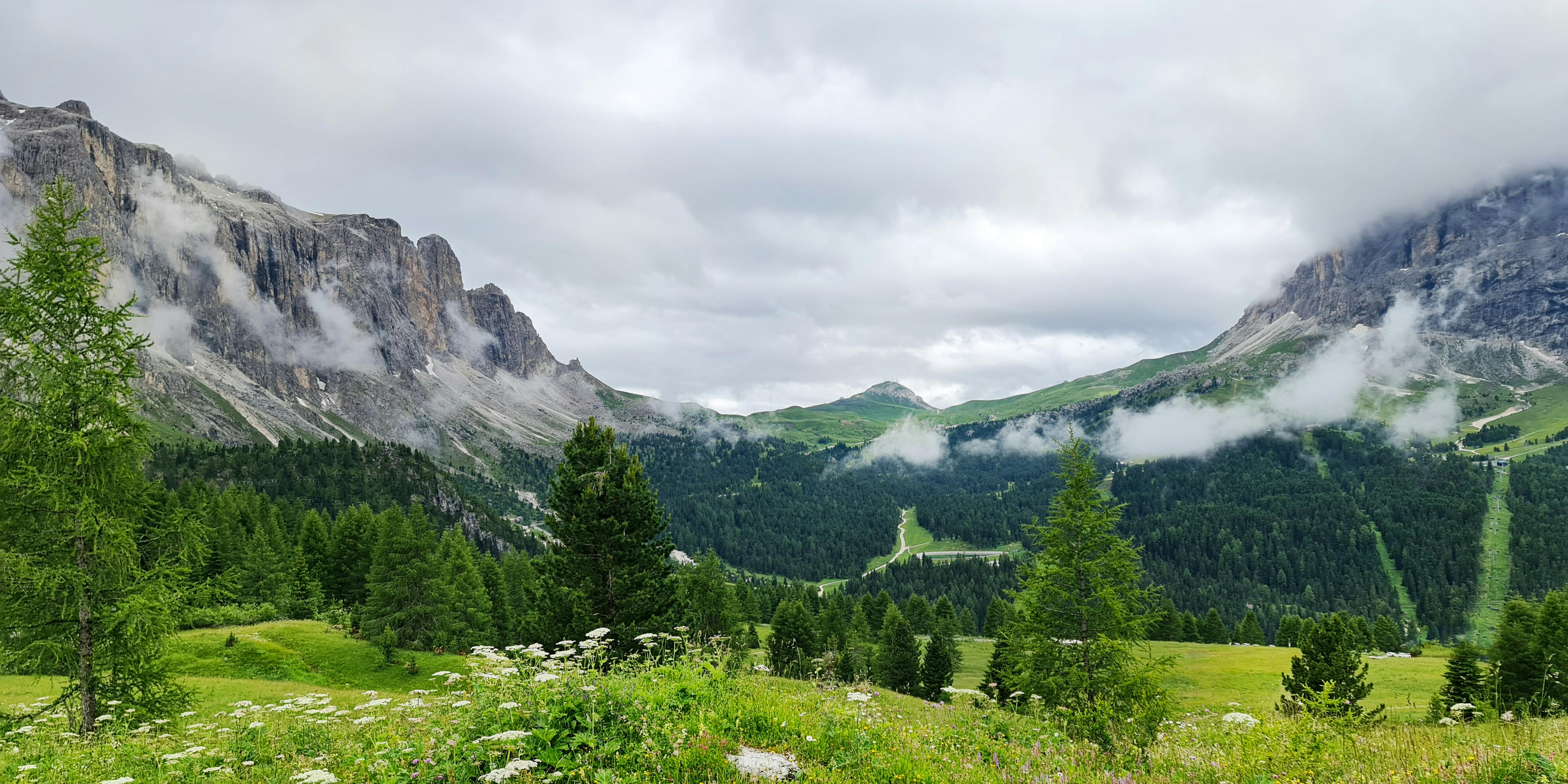 adrian vieriu - Photography