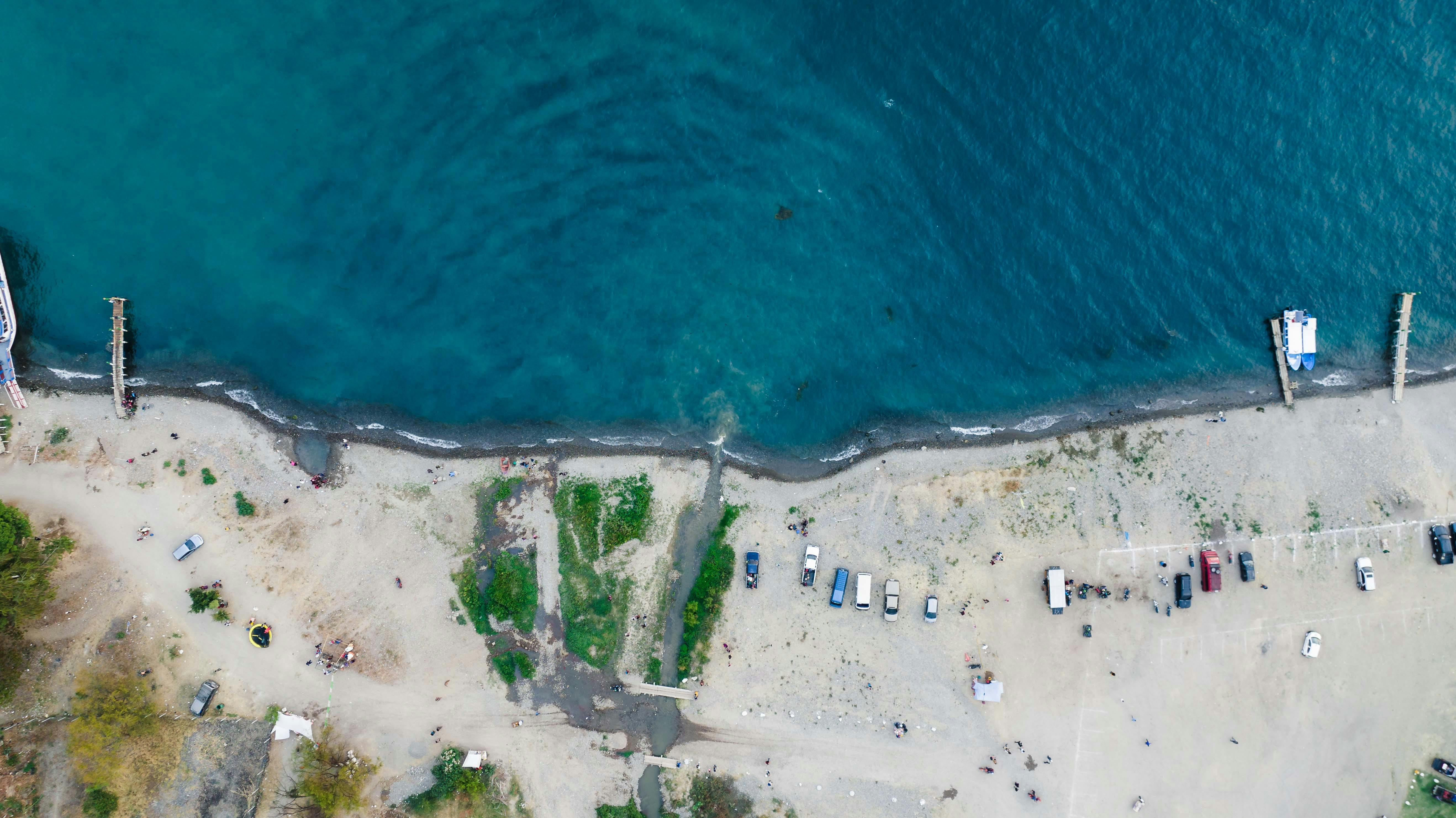 Fish Bone on Sand Beach · Free Stock Photo