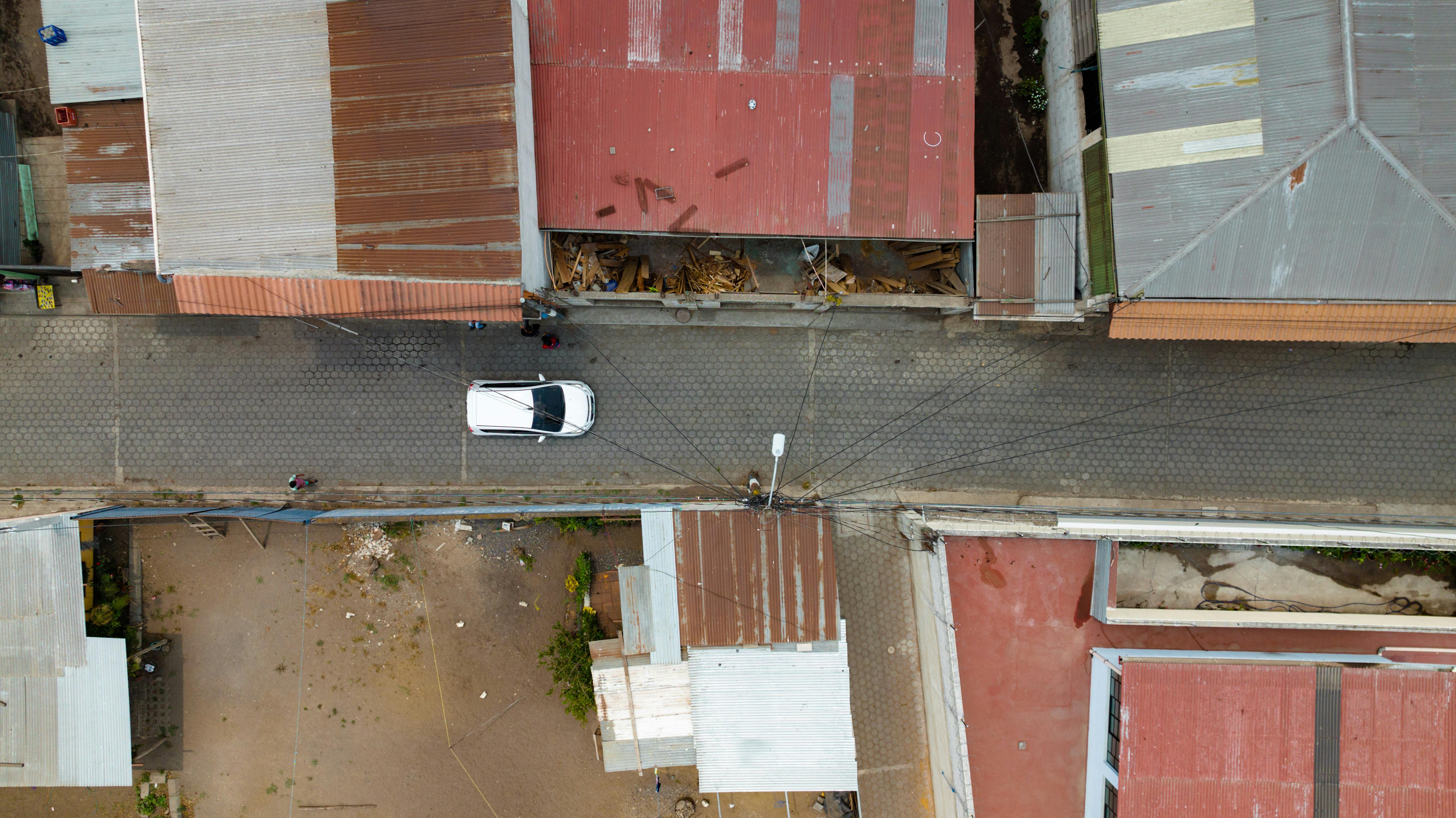 Cat Drive Photos, Download The BEST Free Cat Drive Stock Photos & HD Images