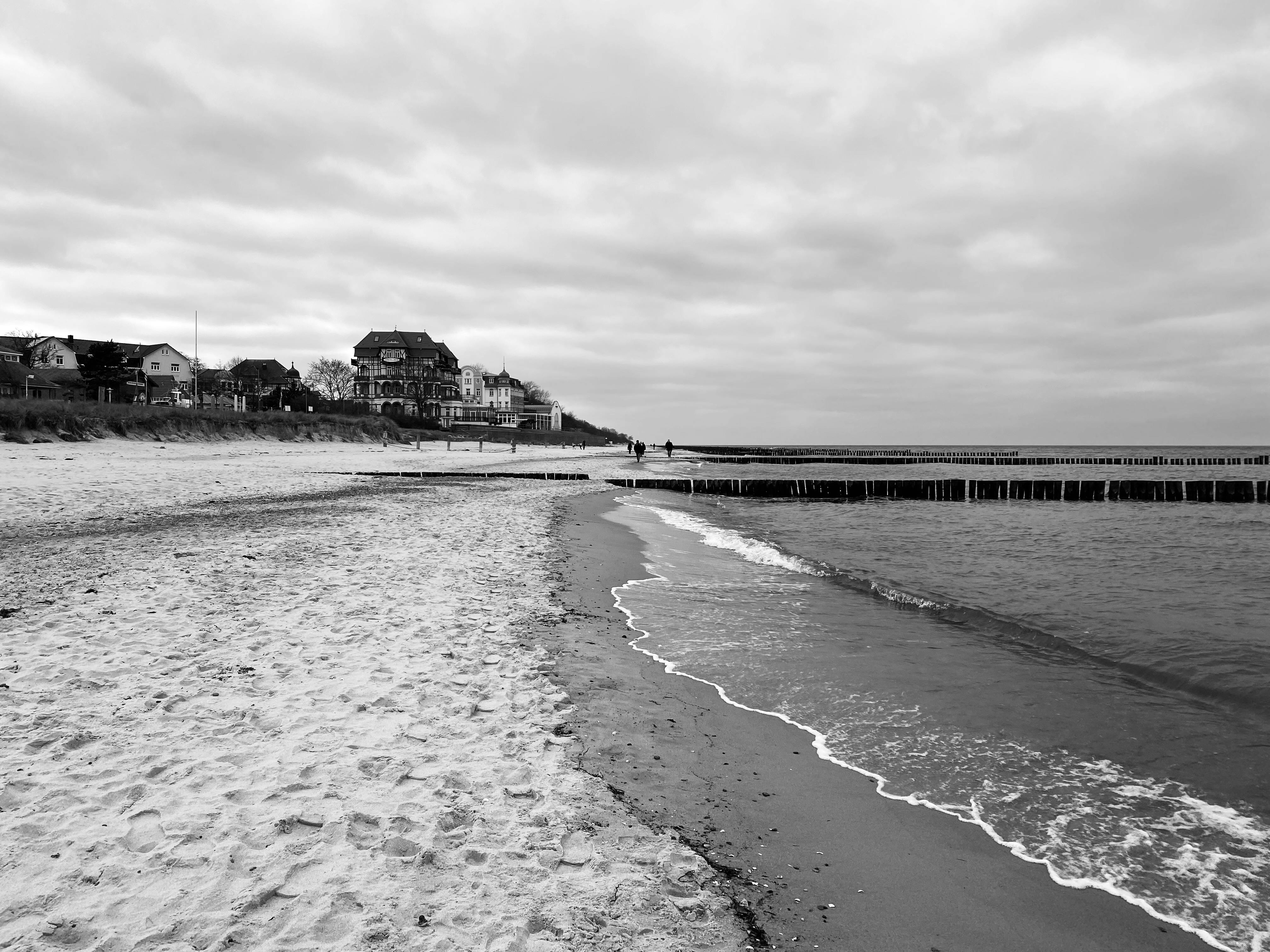 Grayscale Photo of Beach · Free Stock Photo