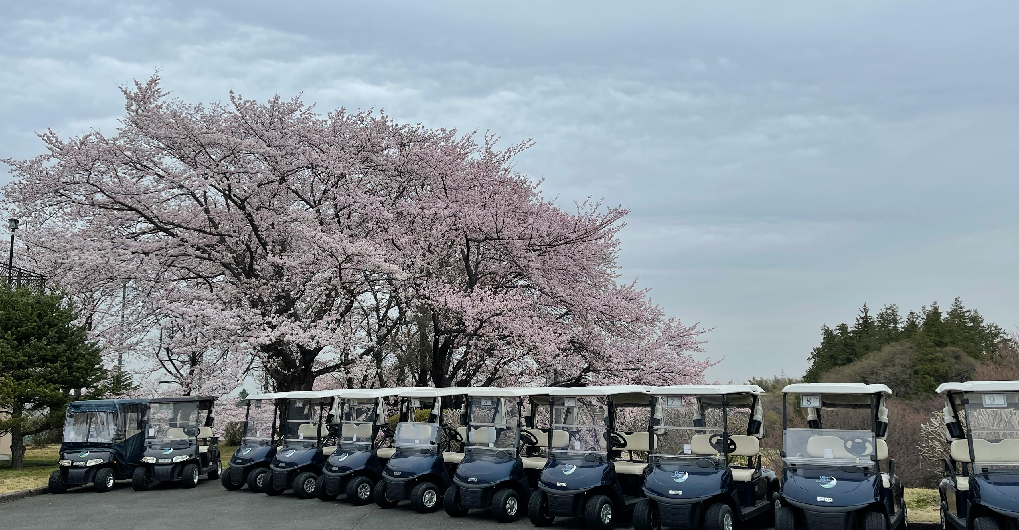 Joe Peters – Fotografia