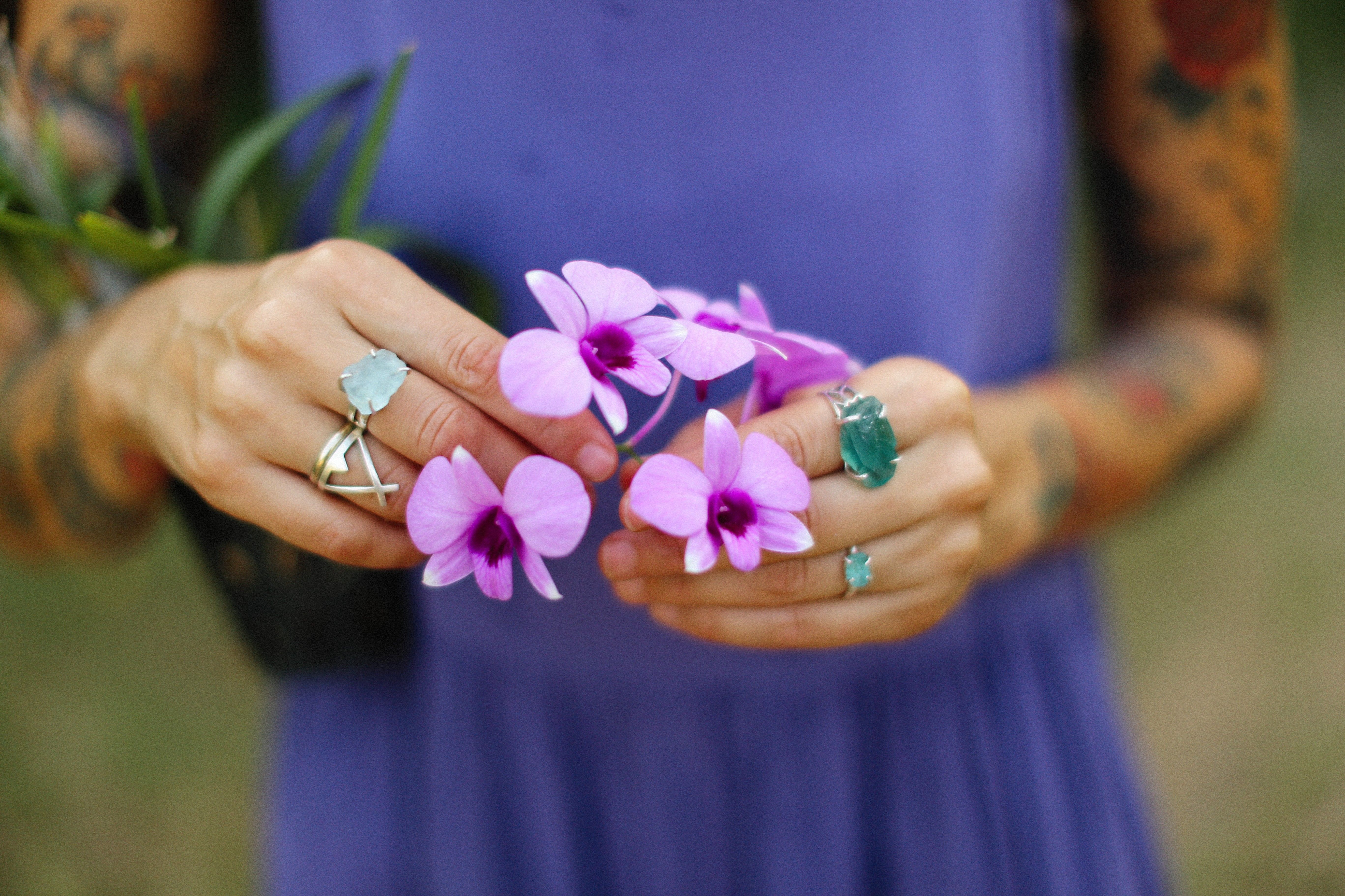 Person Holding Vase With Blooming Flowers · Free Stock Photo