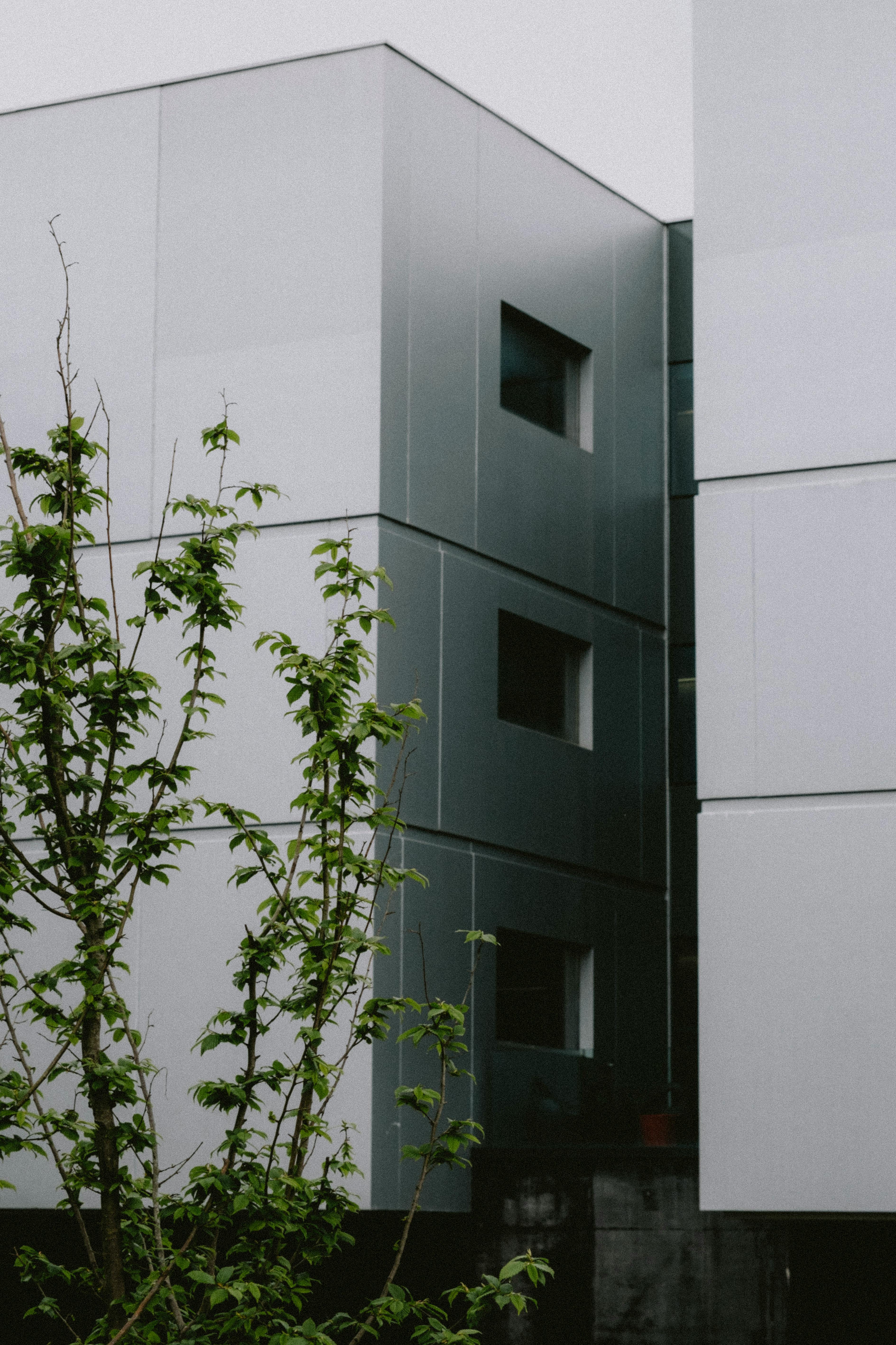 Trees In Front Of Modern Building · Free Stock Photo