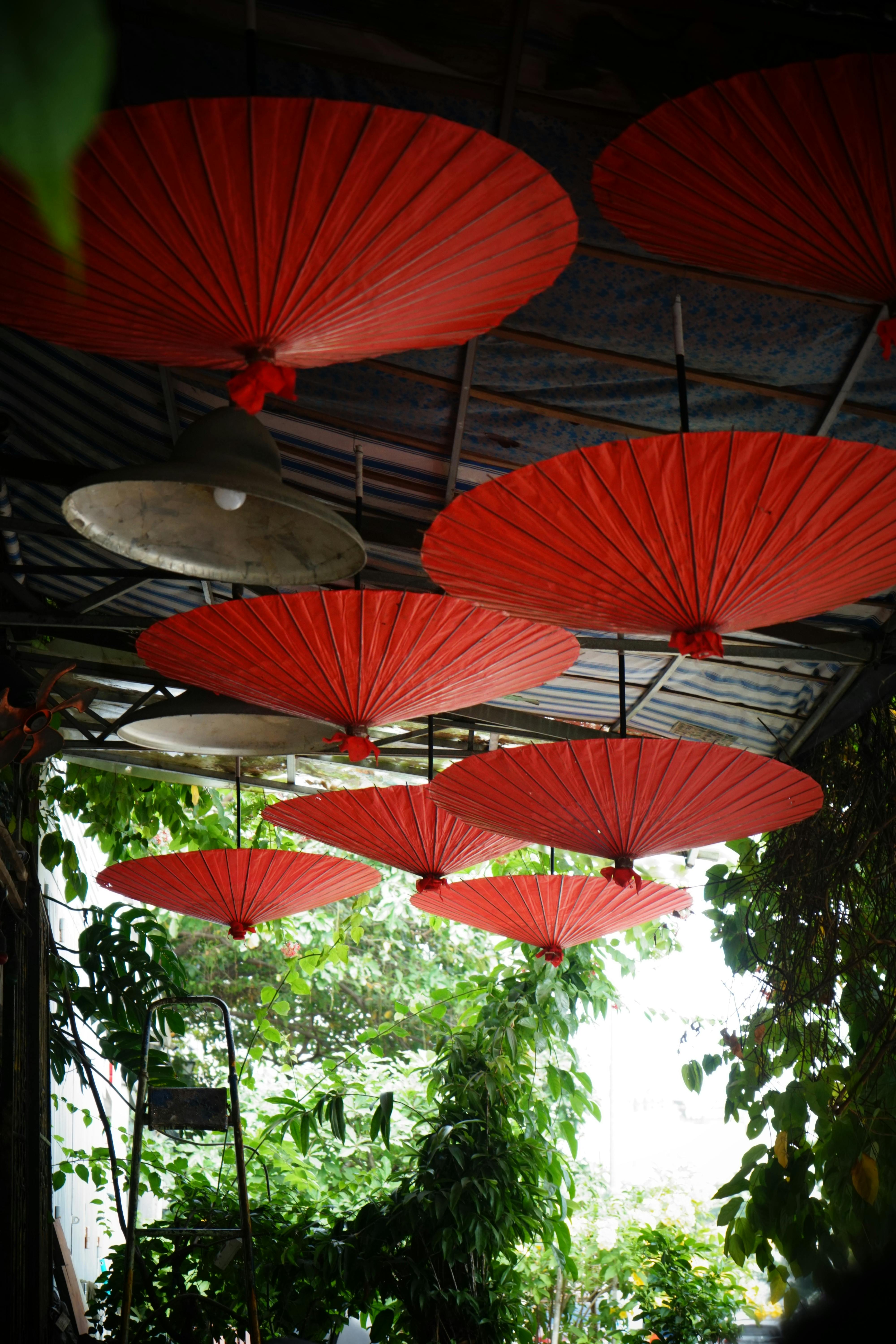 Hanging Artificial Red Roses · Free Stock Photo