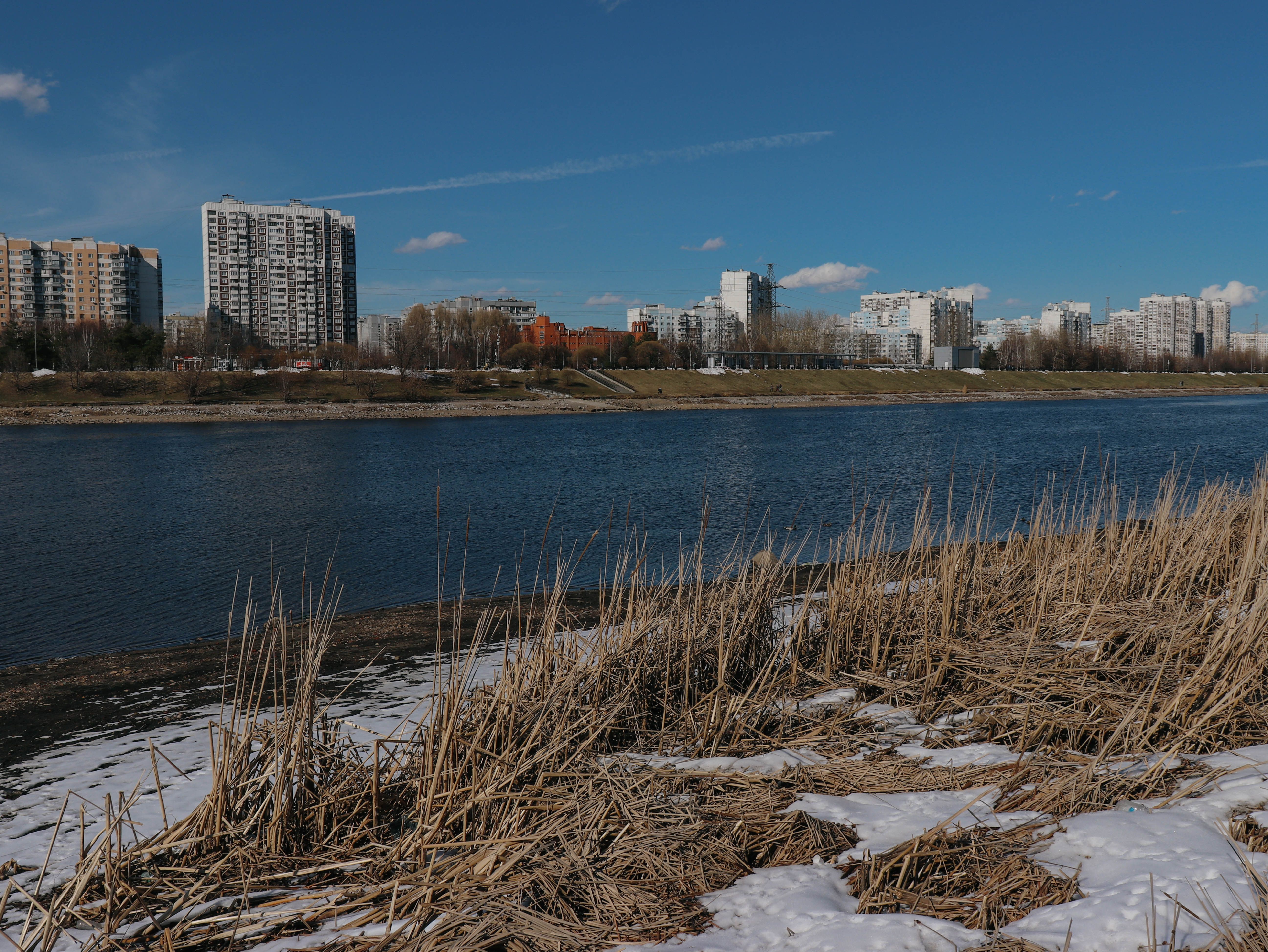 Grass near River · Free Stock Photo