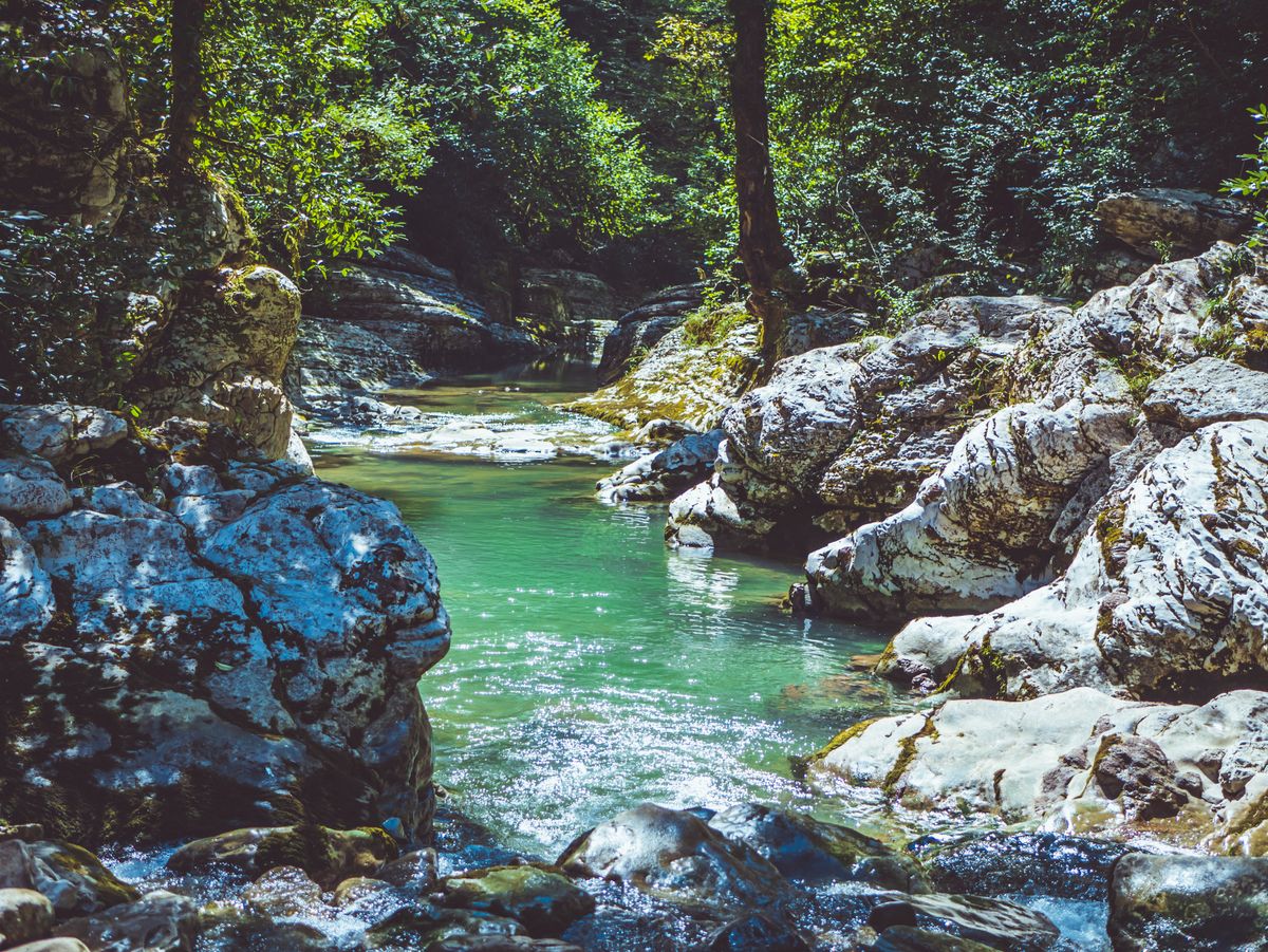 Creek Photos, Download The BEST Free Creek Stock Photos & HD Images