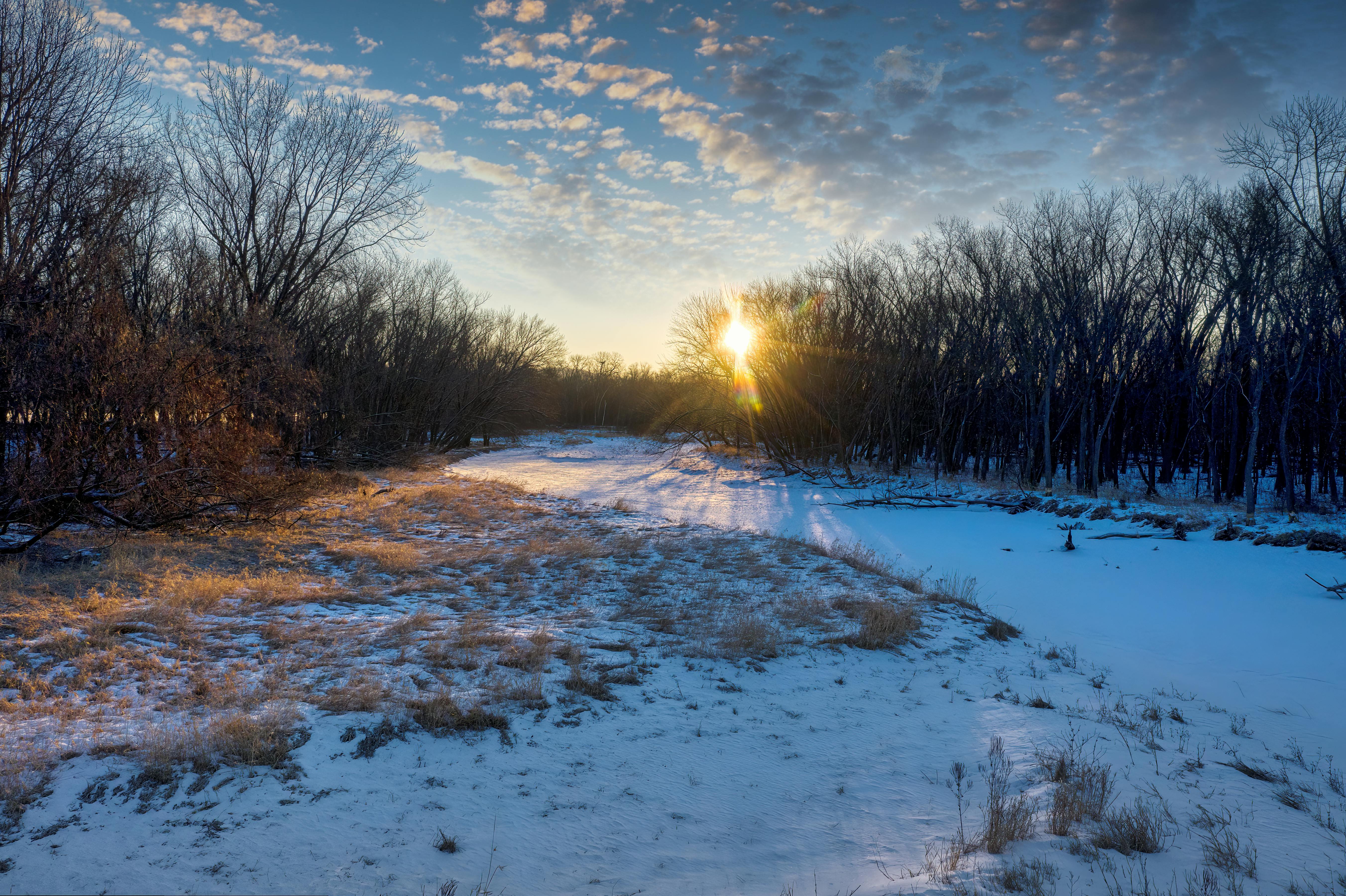 Tree Branch on Winter Landscape · Free Stock Photo
