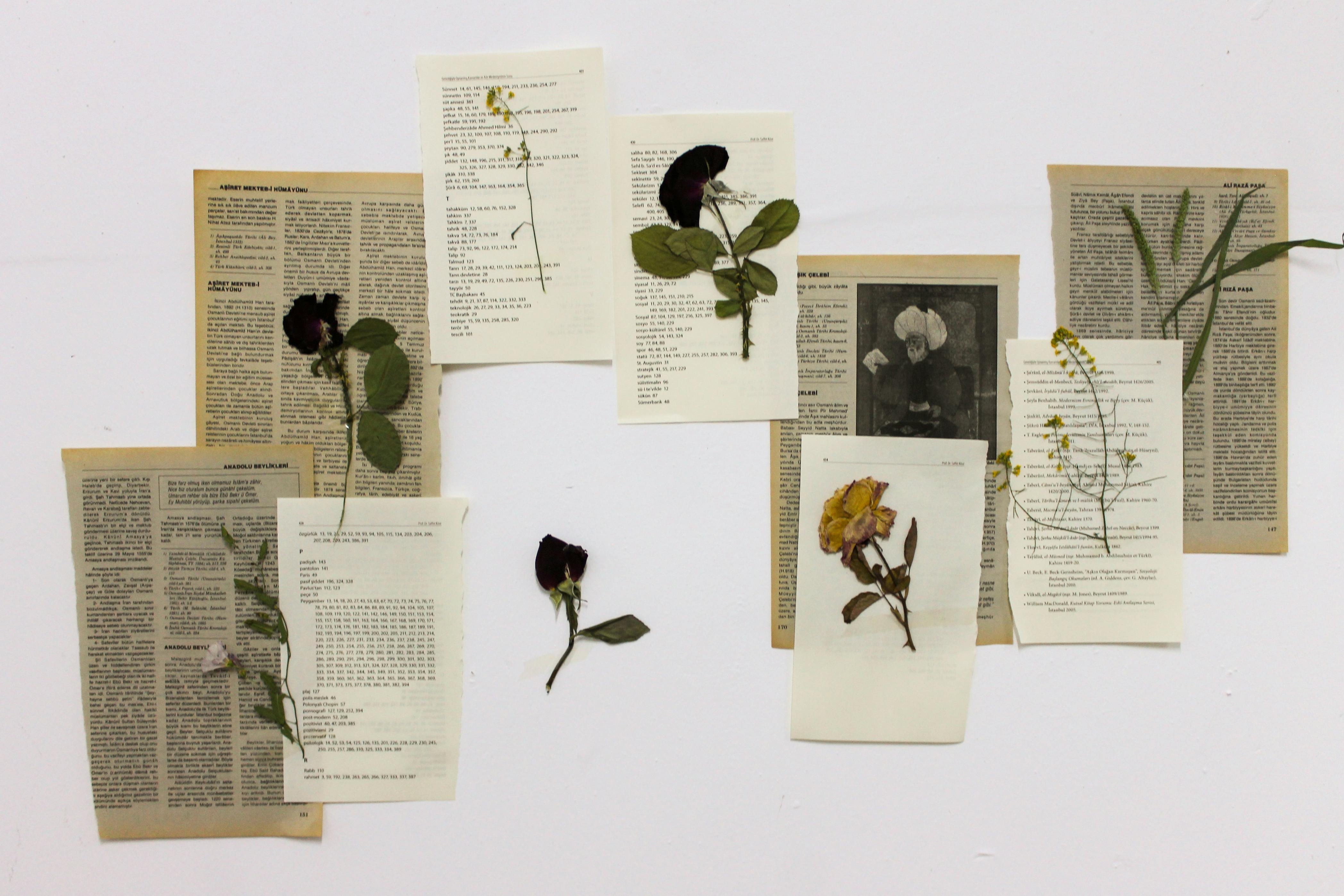 Dried Flowers and Book Pages · Free Stock Photo