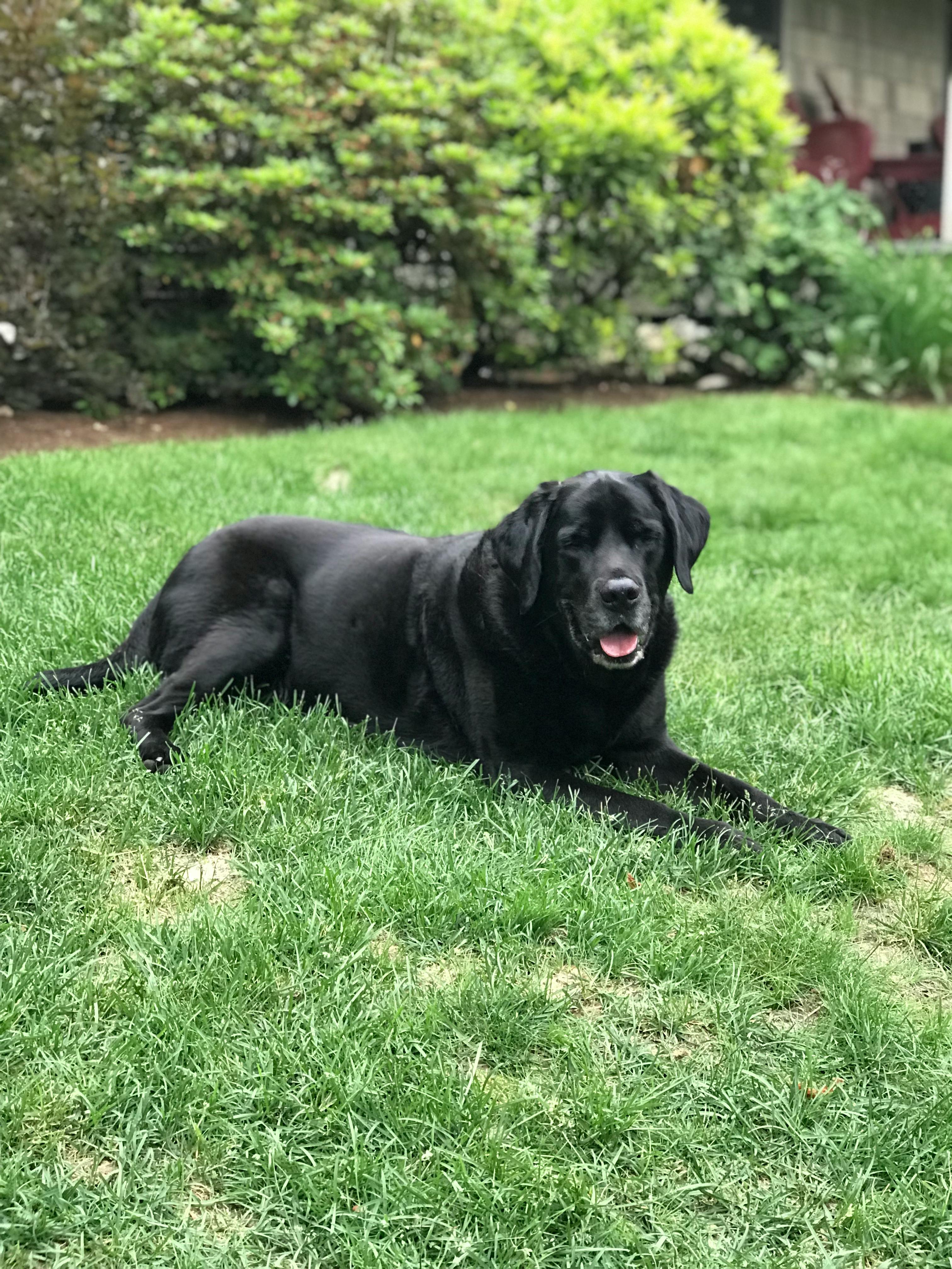 Jessica Stephens - 摄影