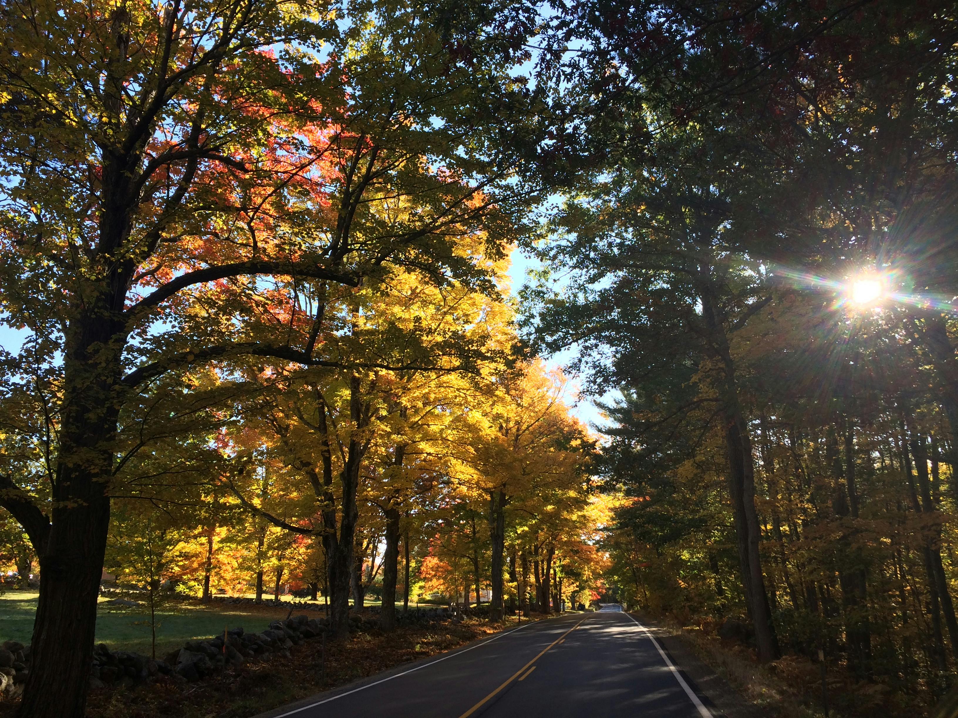 Jessica Stephens - 摄影