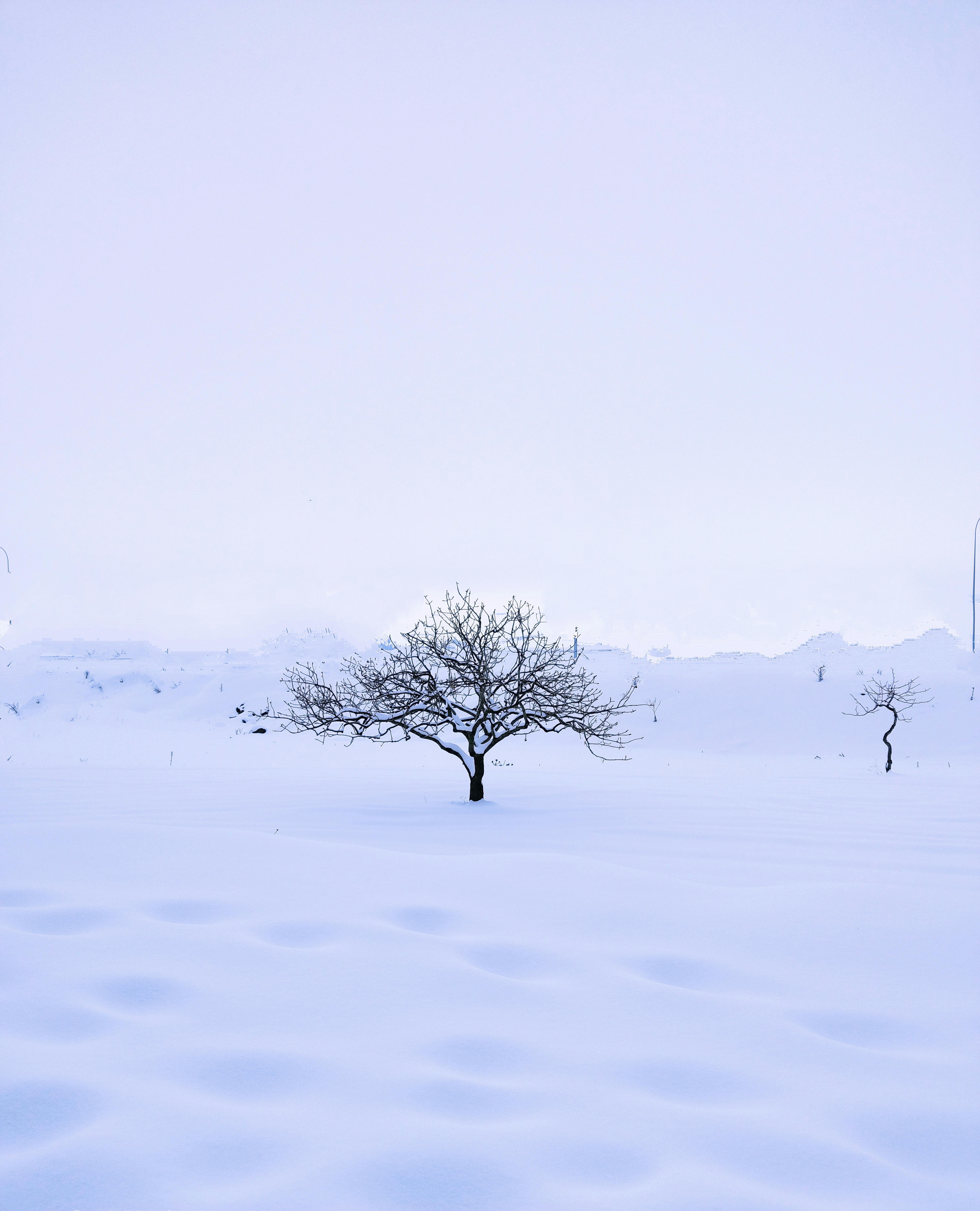 Snow Field Background Photos, Download The BEST Free Snow Field ...