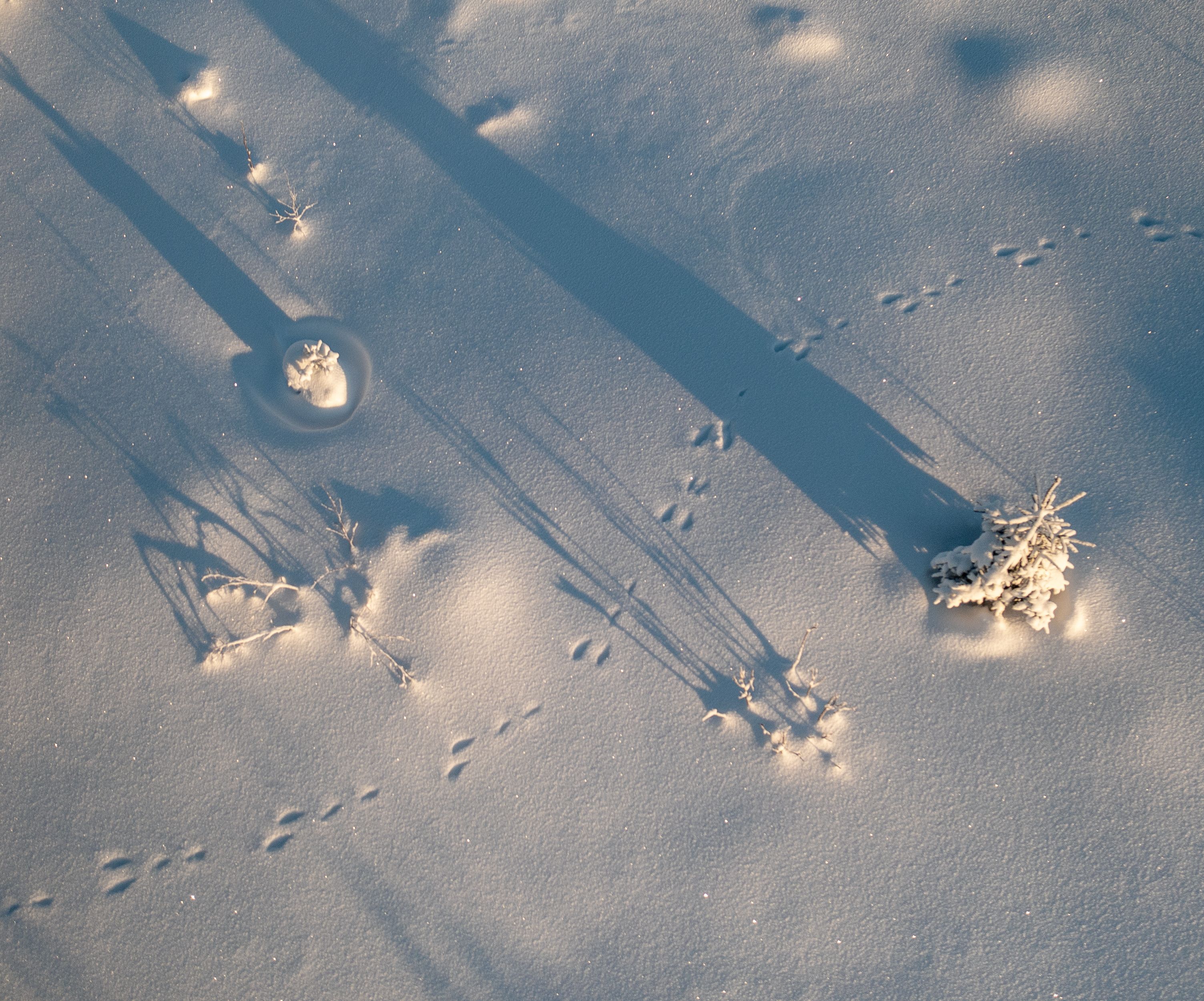 Sweden Snow Photos, Download The BEST Free Sweden Snow Stock Photos ...