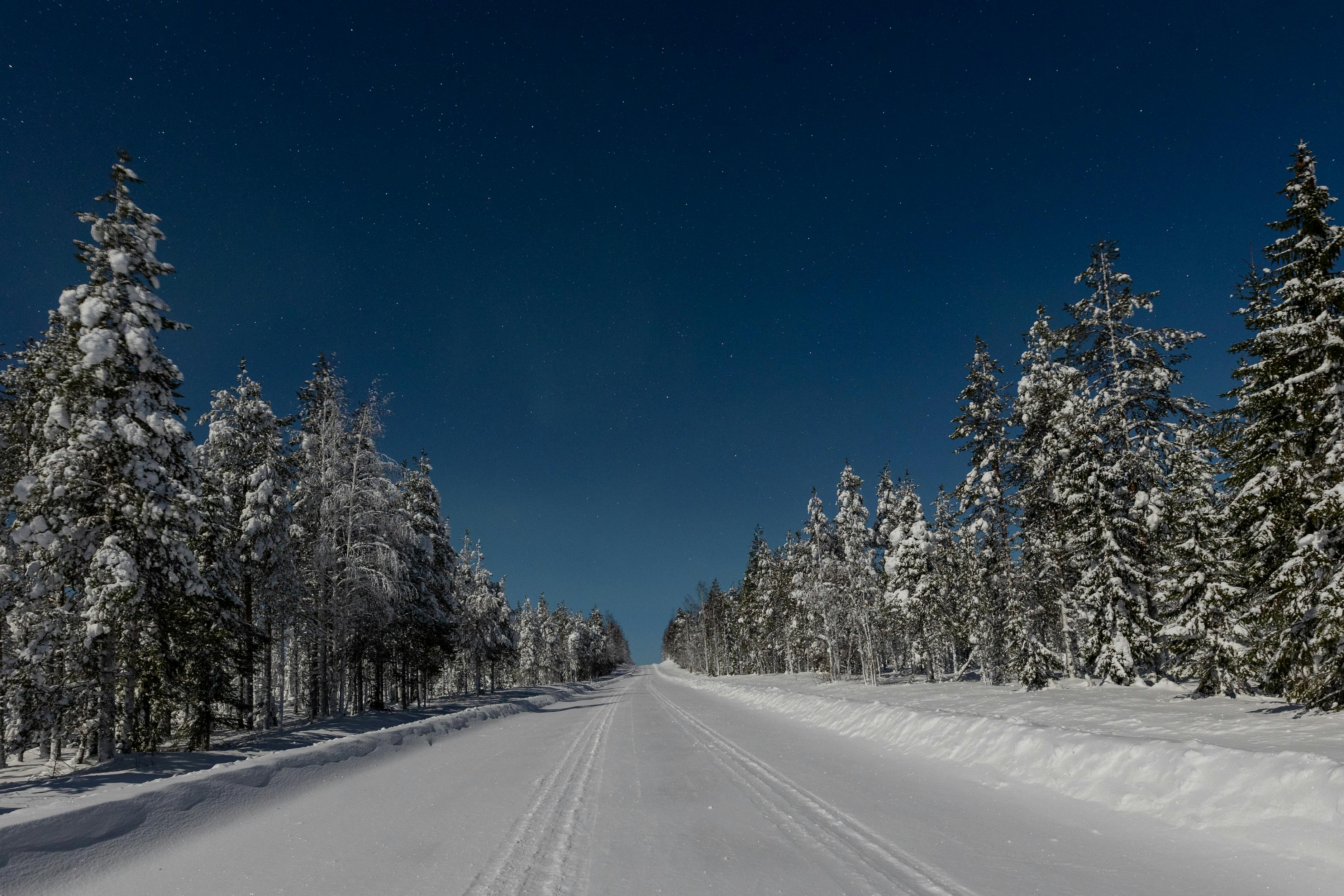 Footsteps on a Snow-Covered-Ground during the Night · Free Stock Photo