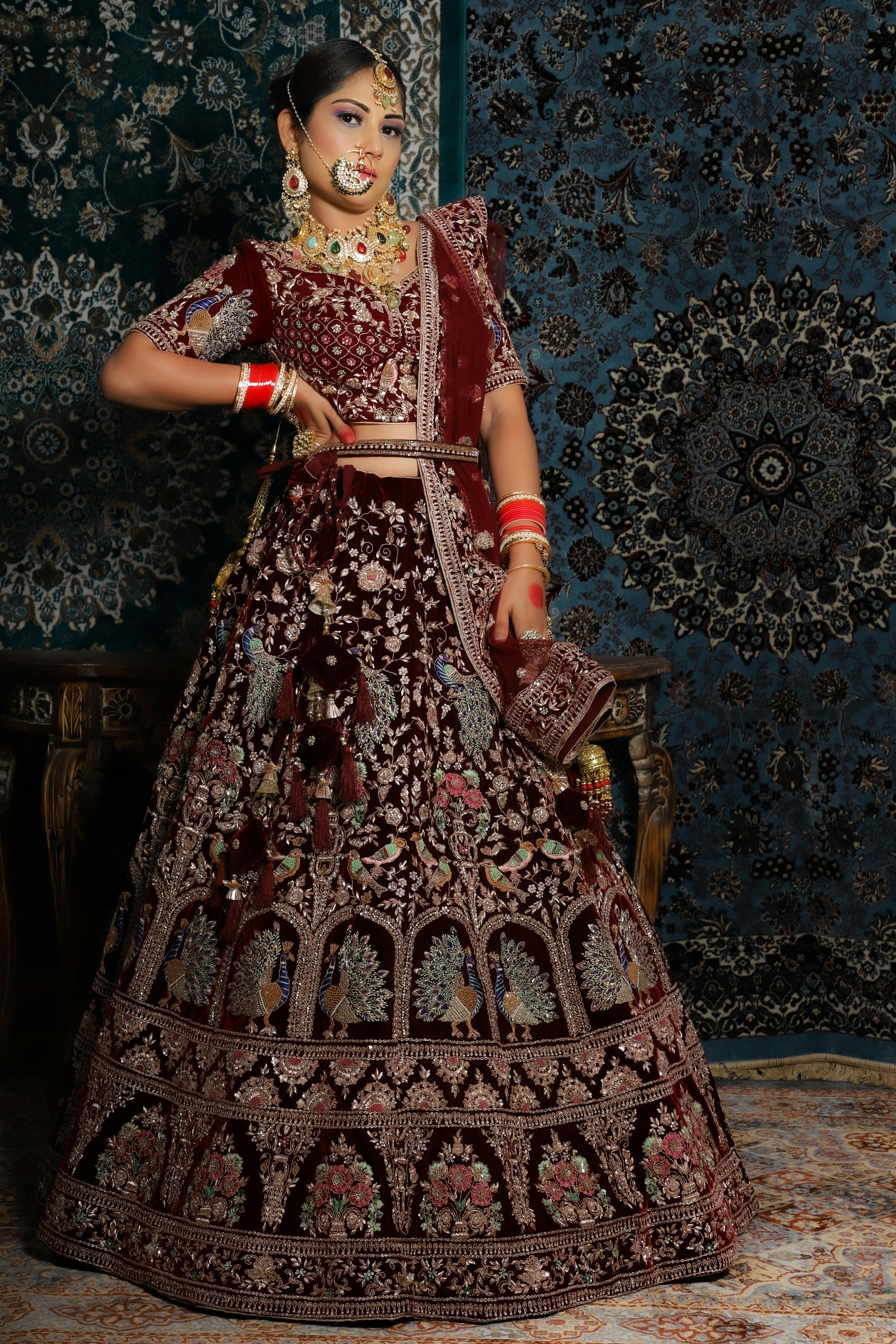 Beautiful Model Posing in Indian Traditional Embroidered Dress · Free ...