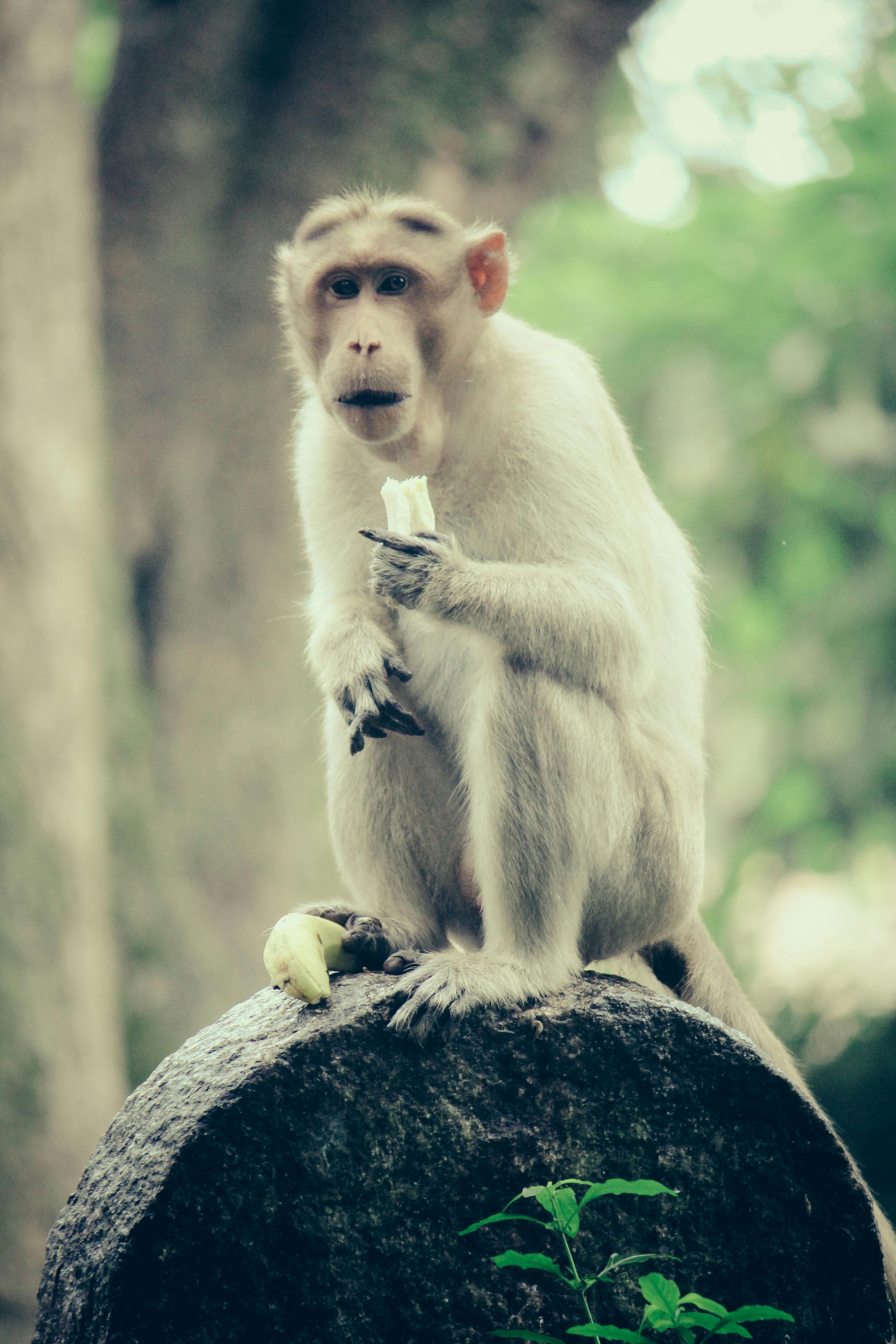 Guna Sekar - Photography