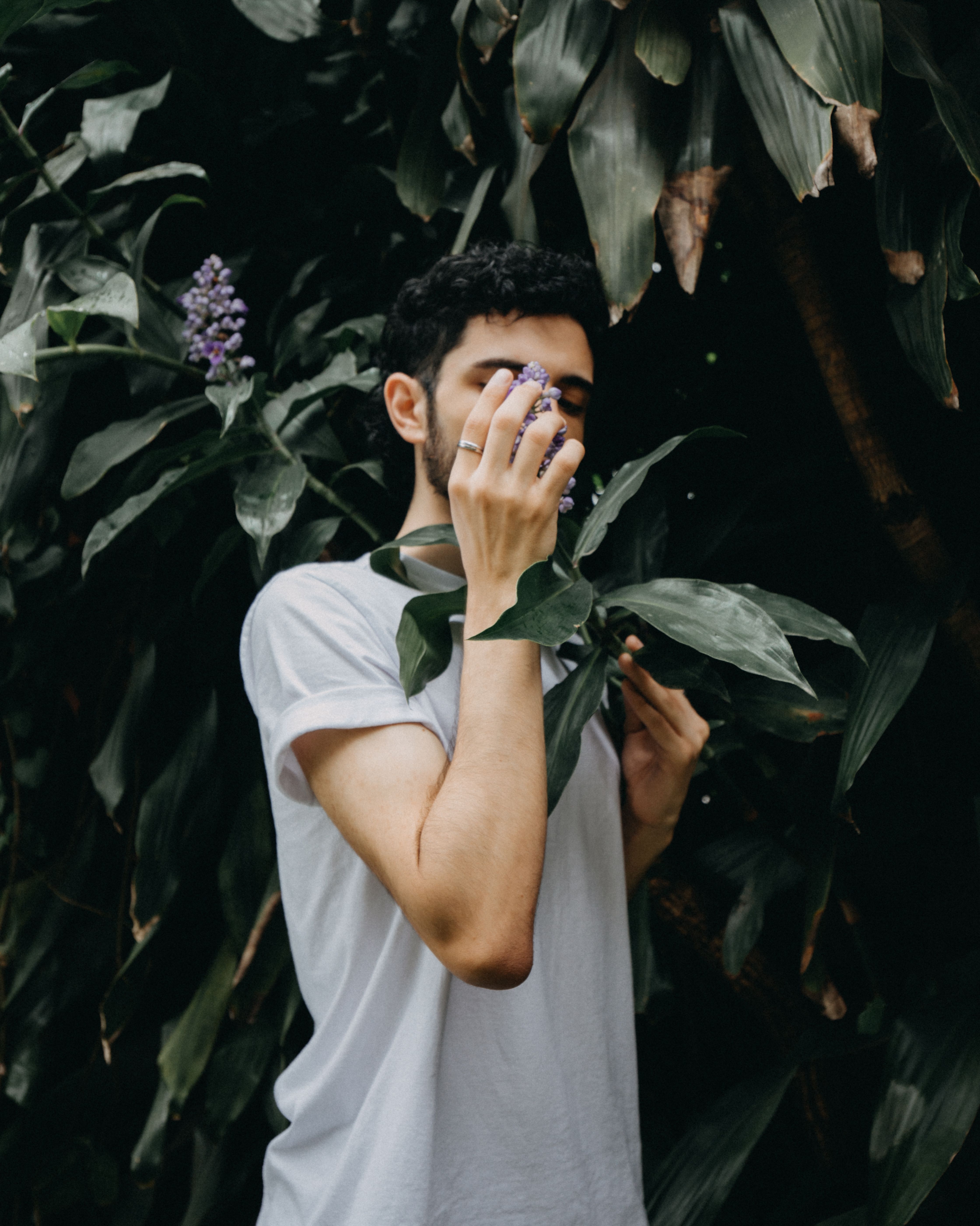 Man Holding a Plant with Obscured Face · Free Stock Photo