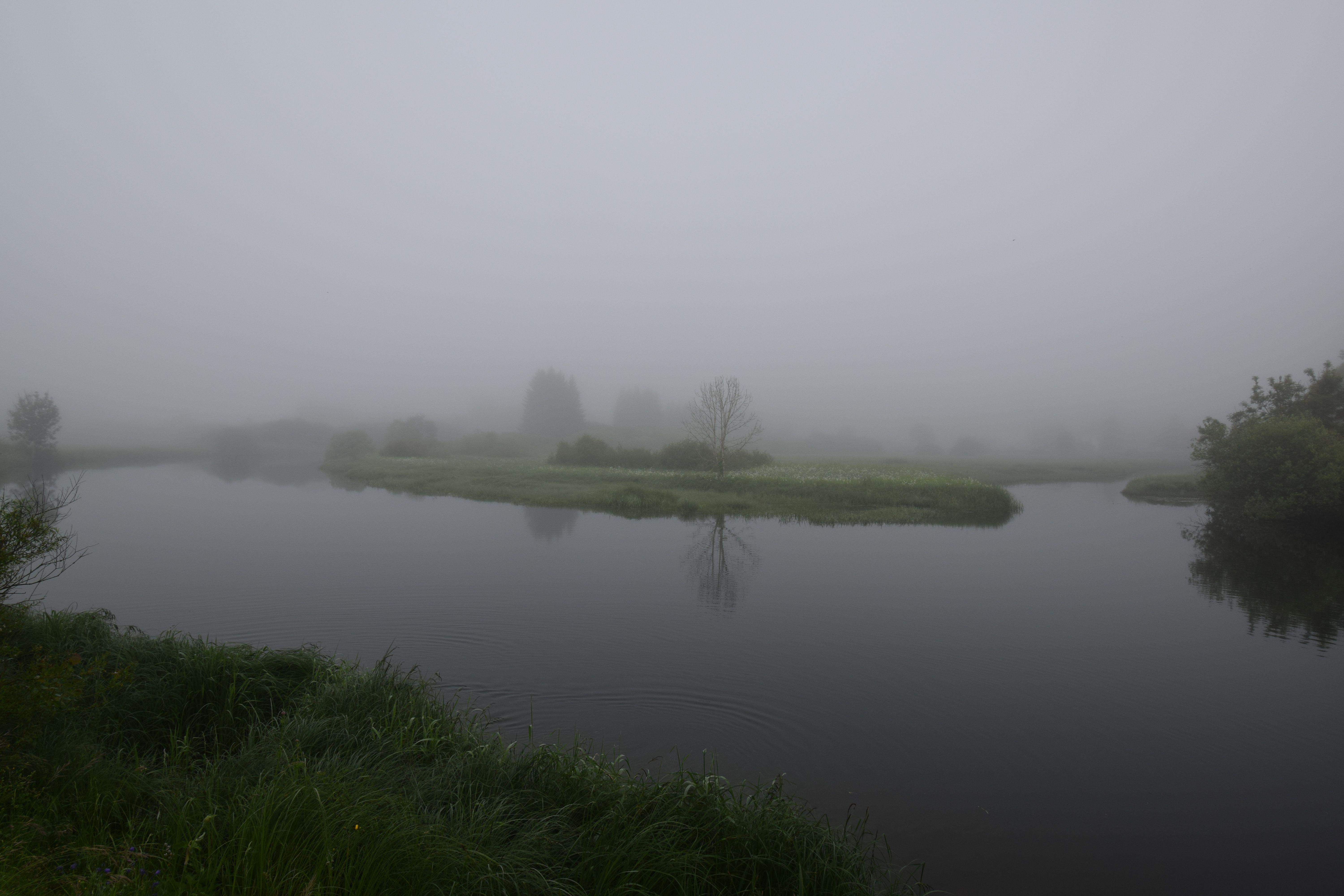 People Walking on Body of Water with Sprawling Fog · Free Stock Photo
