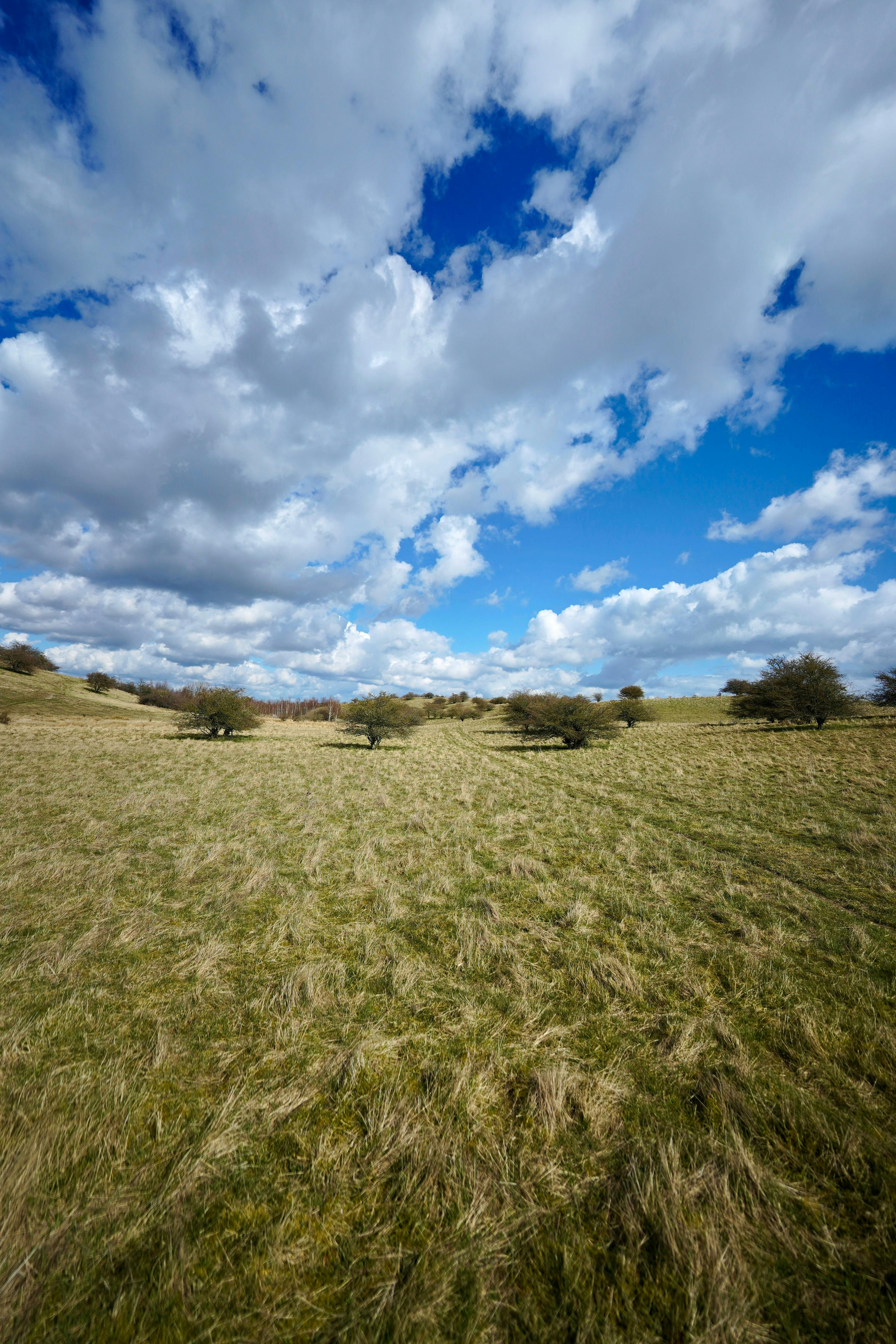 Foto profissional gratuita de acidentado, agricultura, ambiente natural ...