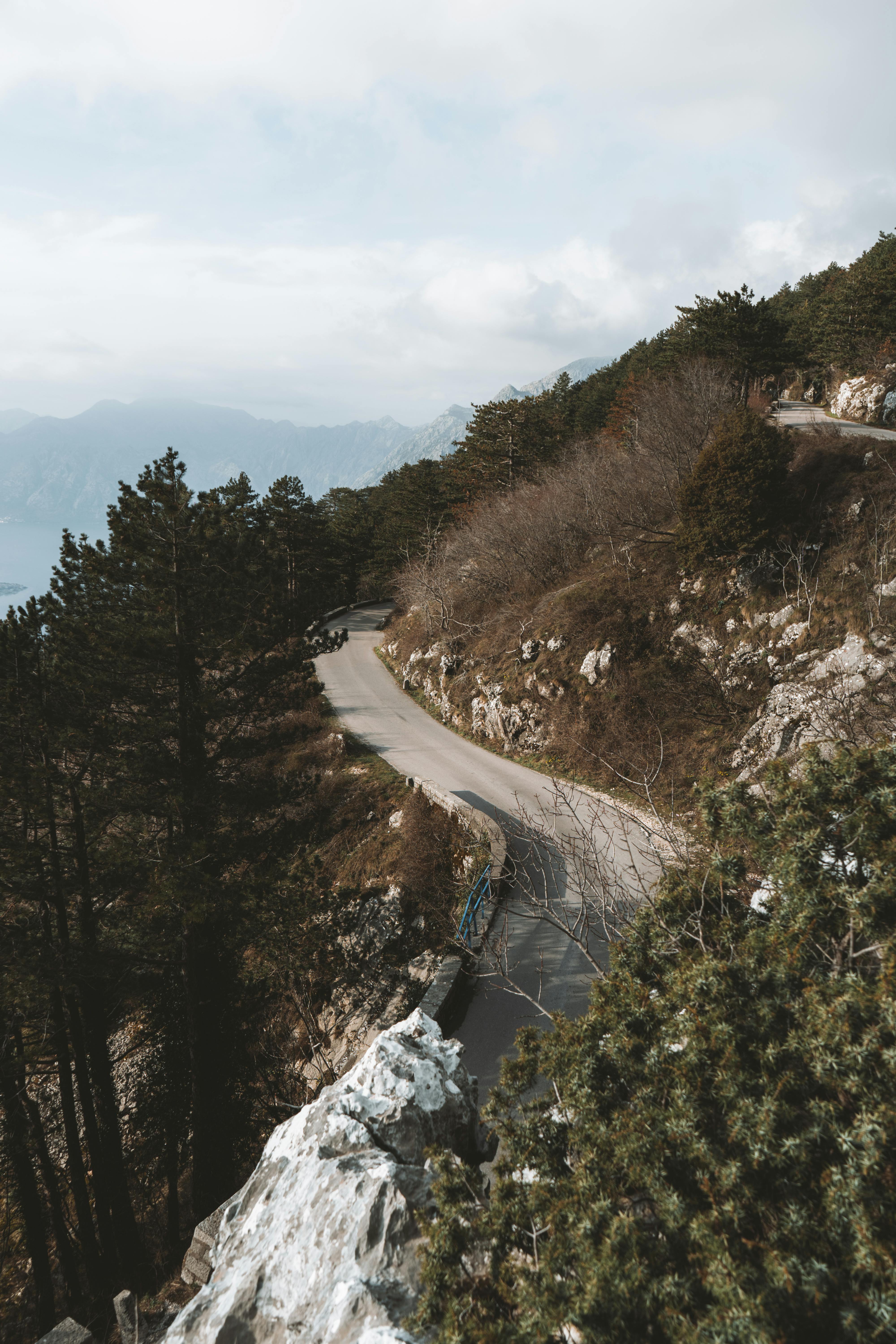 Hilly Area Trees Photos, Download The BEST Free Hilly Area Trees Stock ...