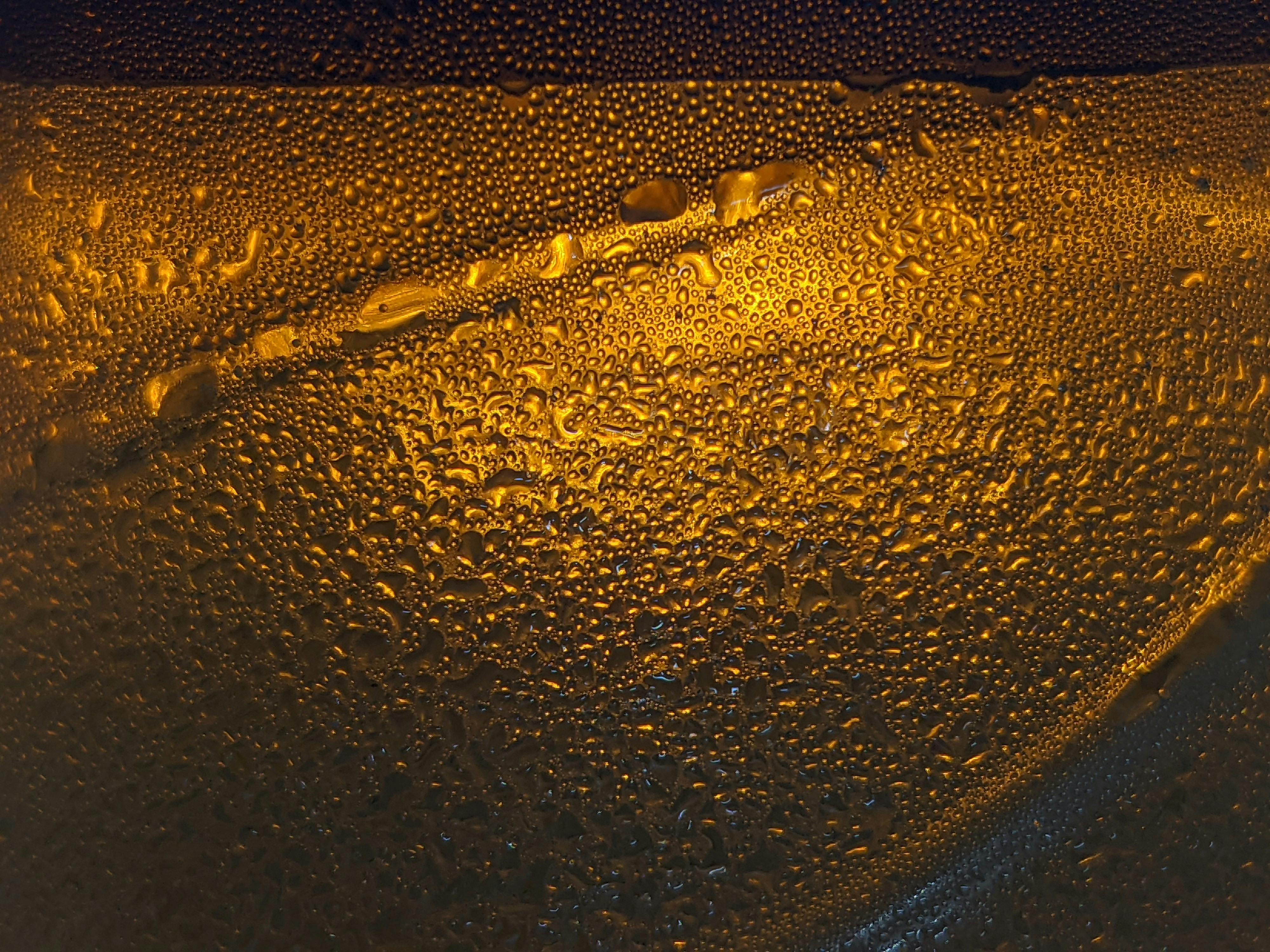 Debasish Sahoo - Photography