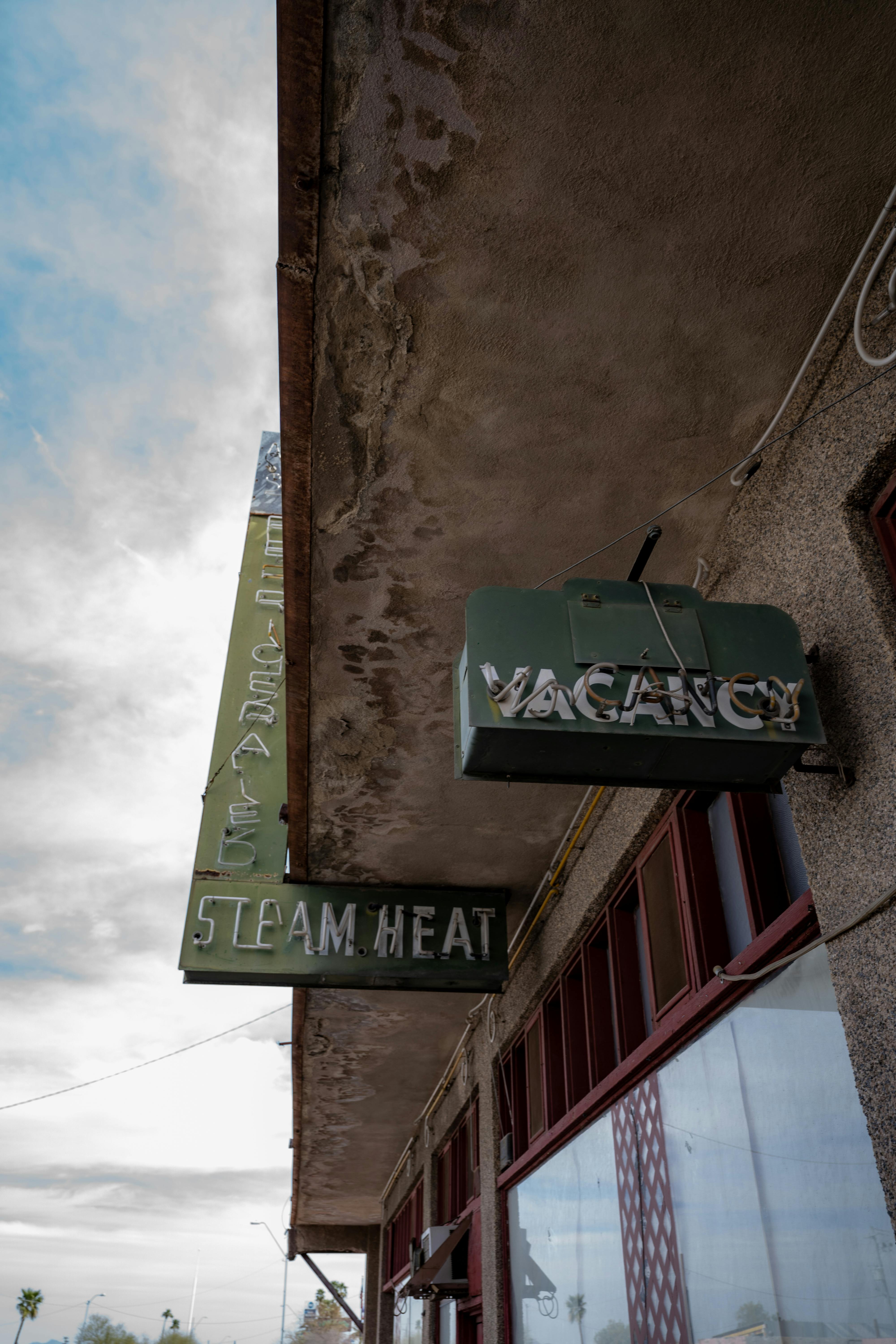 Fowl Run Photos, Download The BEST Free Fowl Run Stock Photos & HD Images