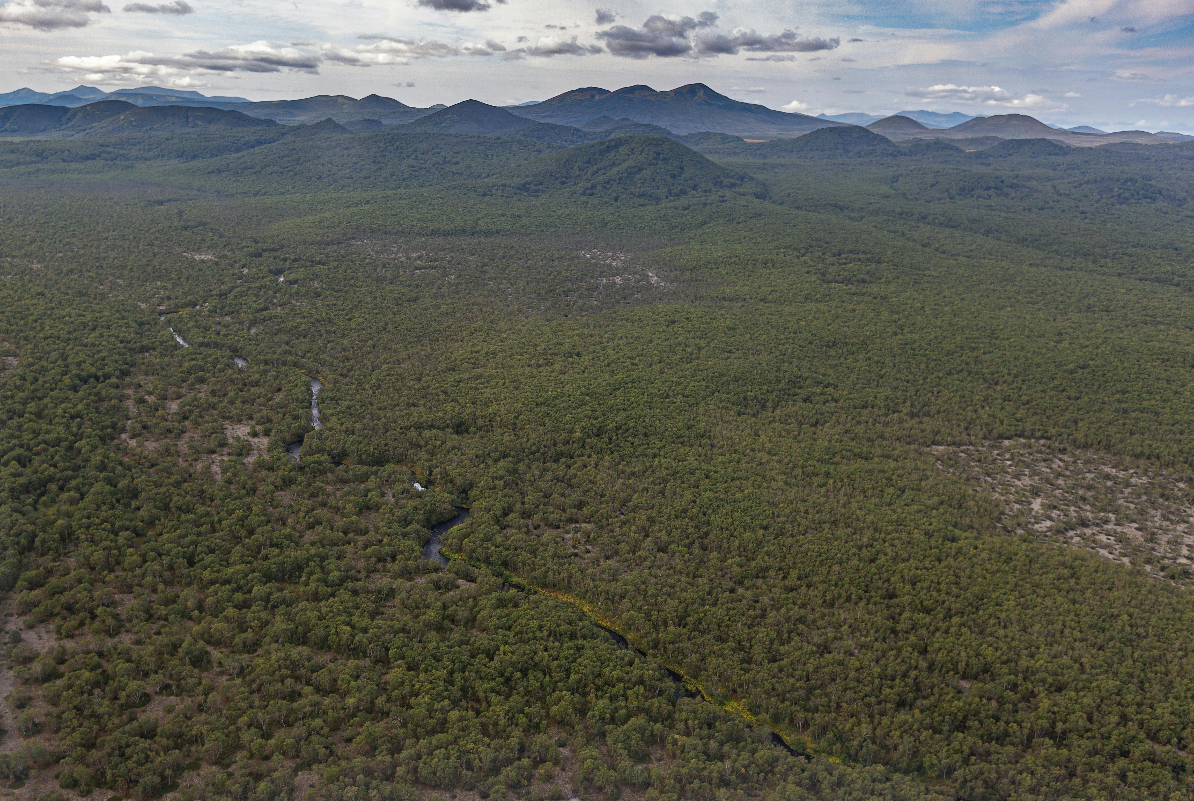 Aerial View of a Valley Covered in a Forest and Mountains in Distance ...