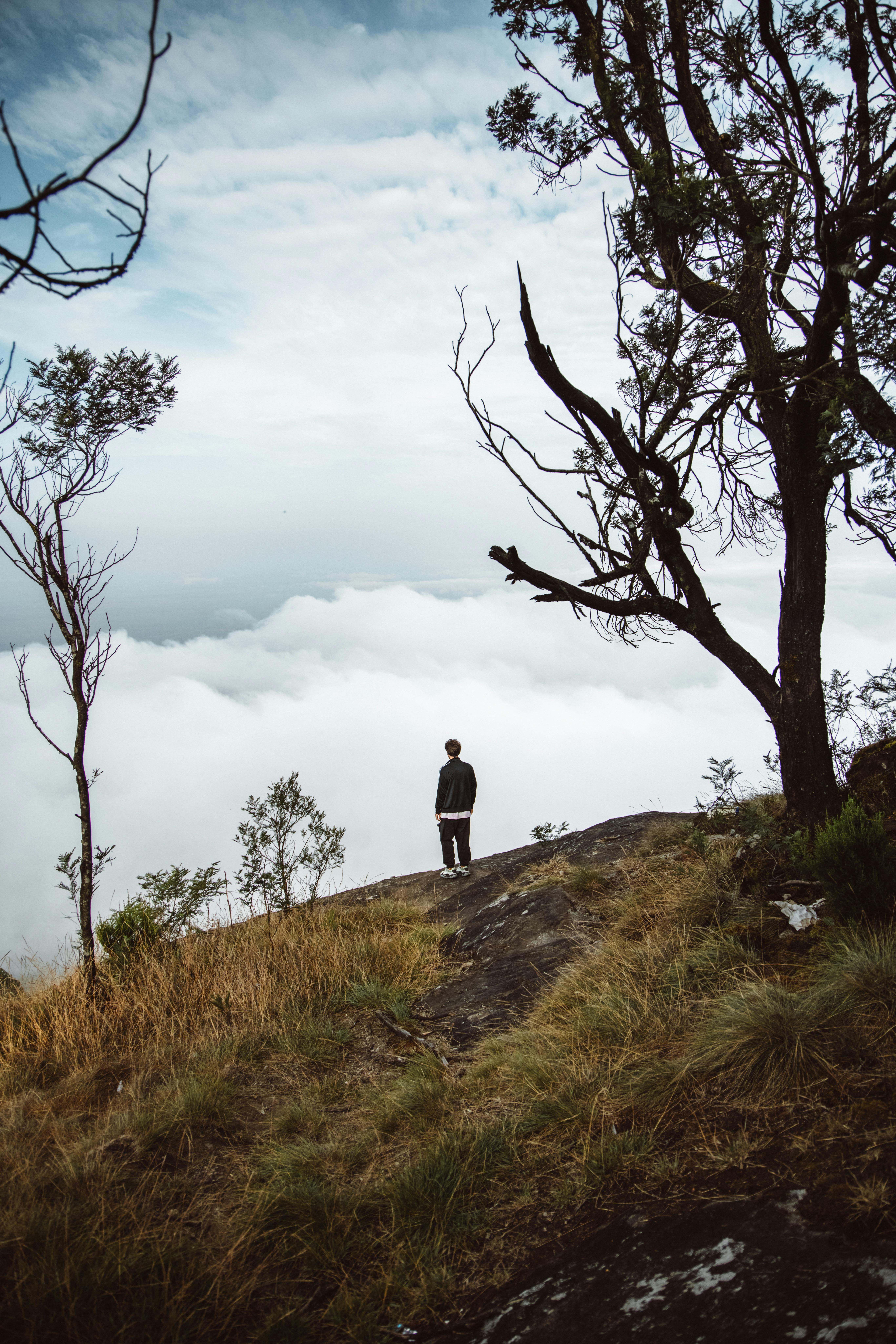 Person standing of a Cliff · Free Stock Photo