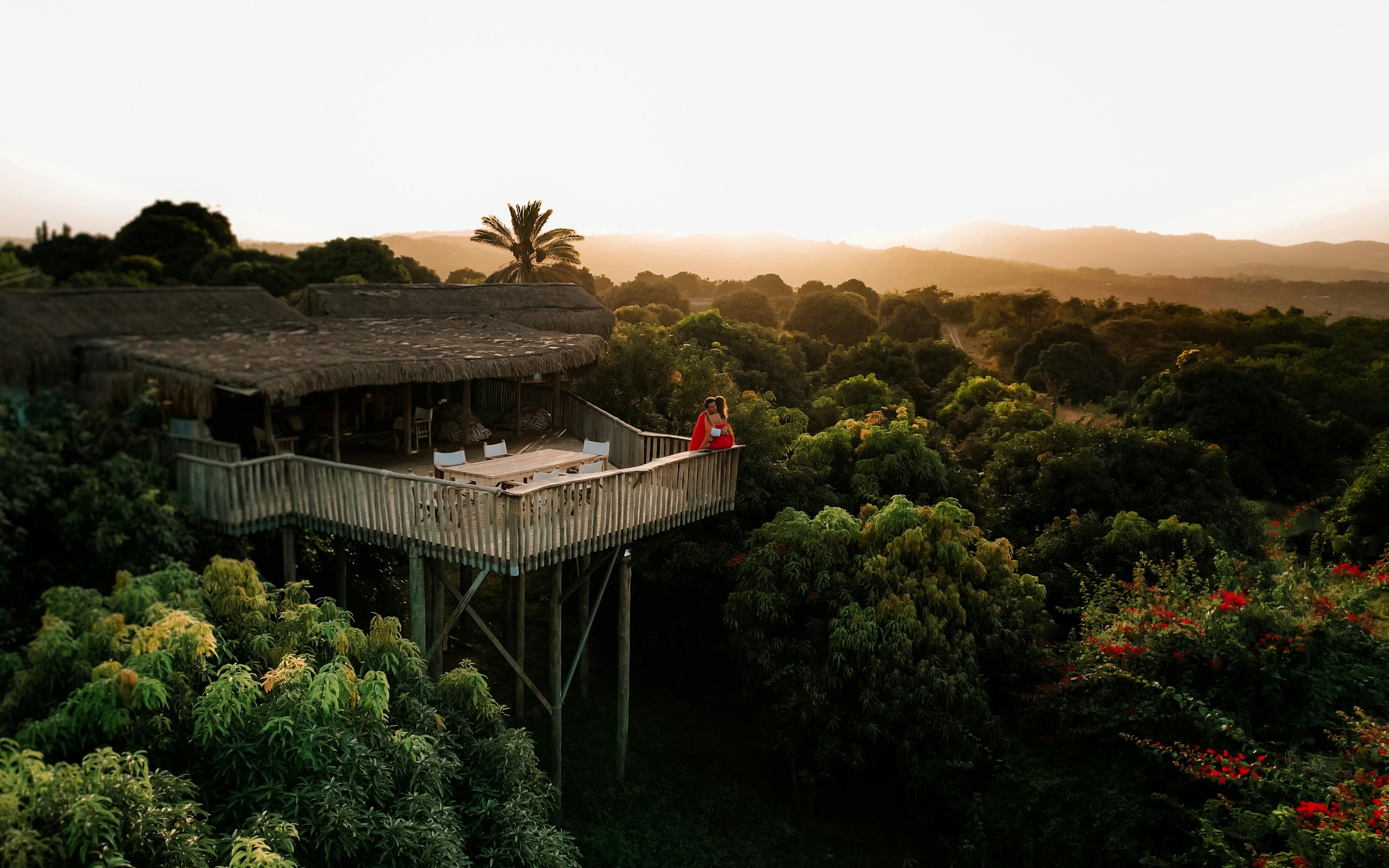 Photo of a Hut amidst Forest at Sunset · Free Stock Photo