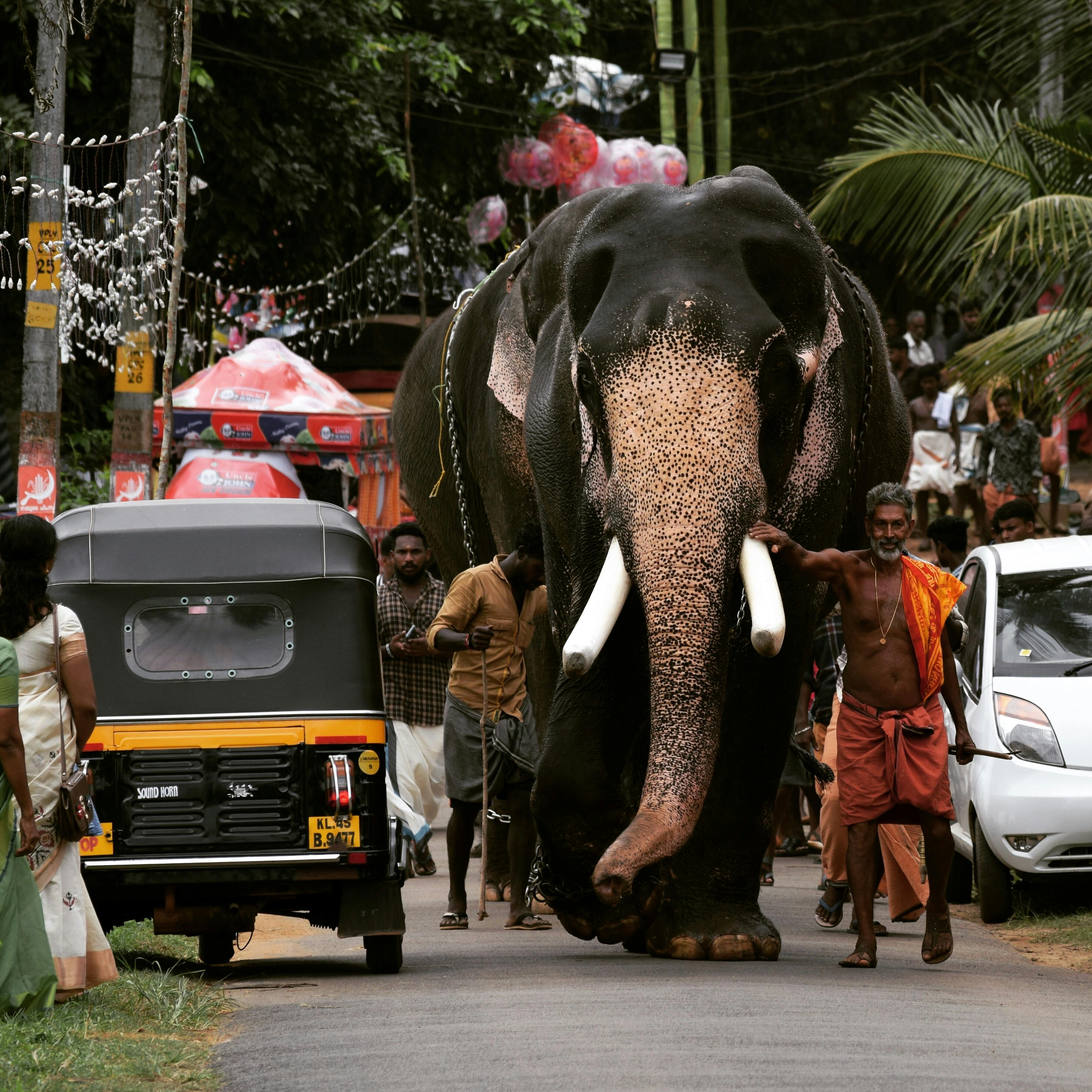 Man And Woman Riding An Elephant · Free Stock Photo