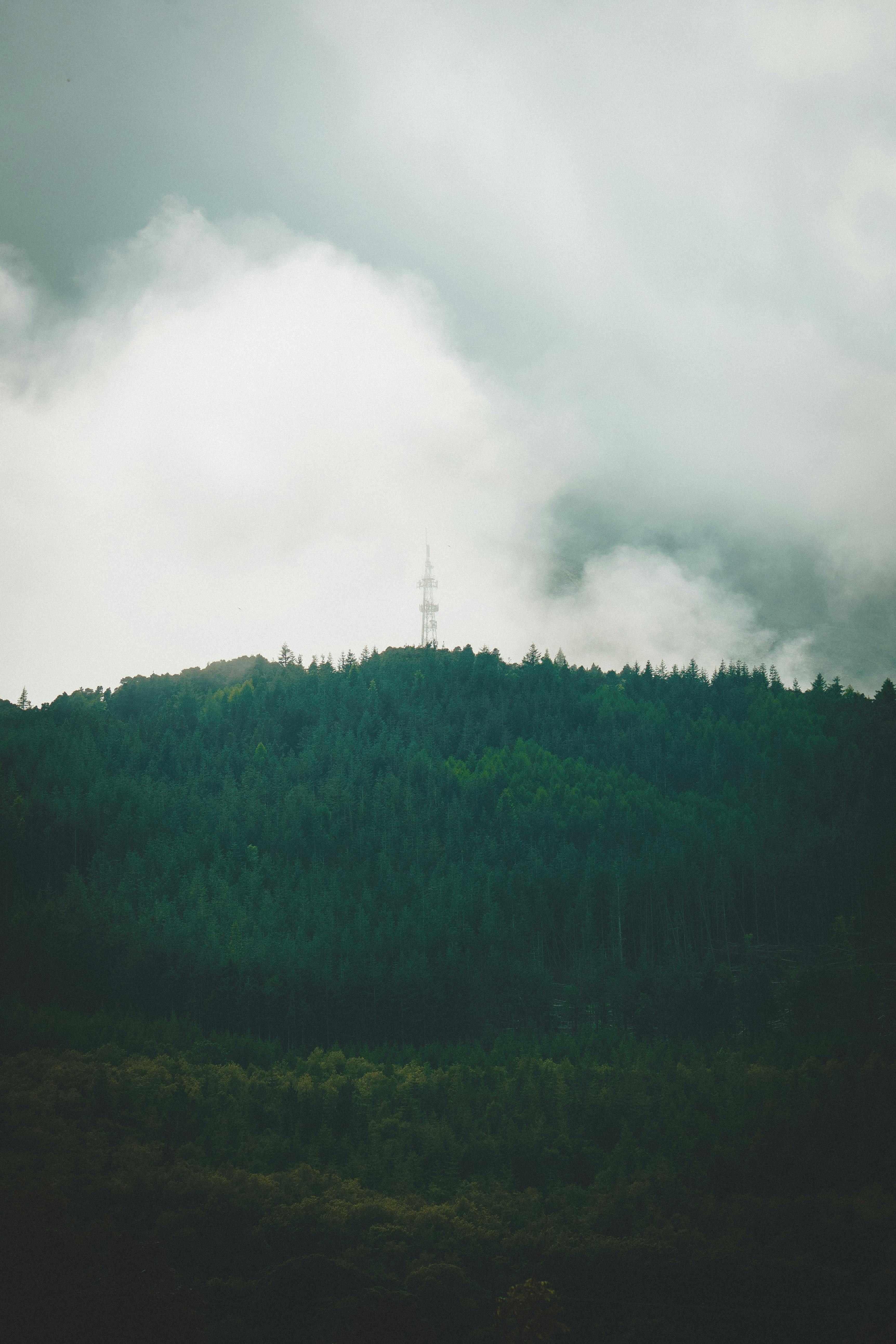 Beautiful Green Trees Under Cloudy Sky · Free Stock Photo