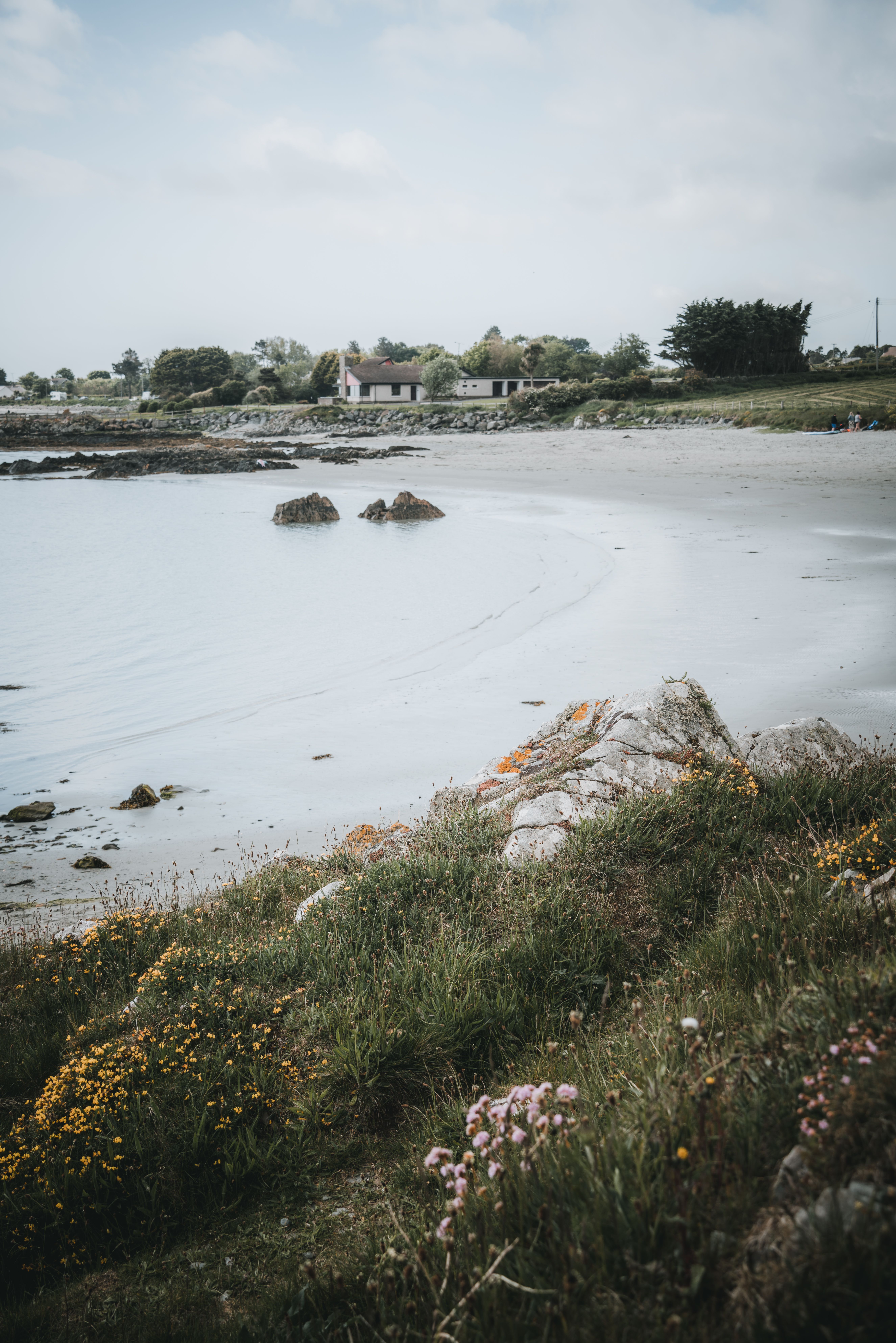 Green Grass Near the Sea Shore · Free Stock Photo