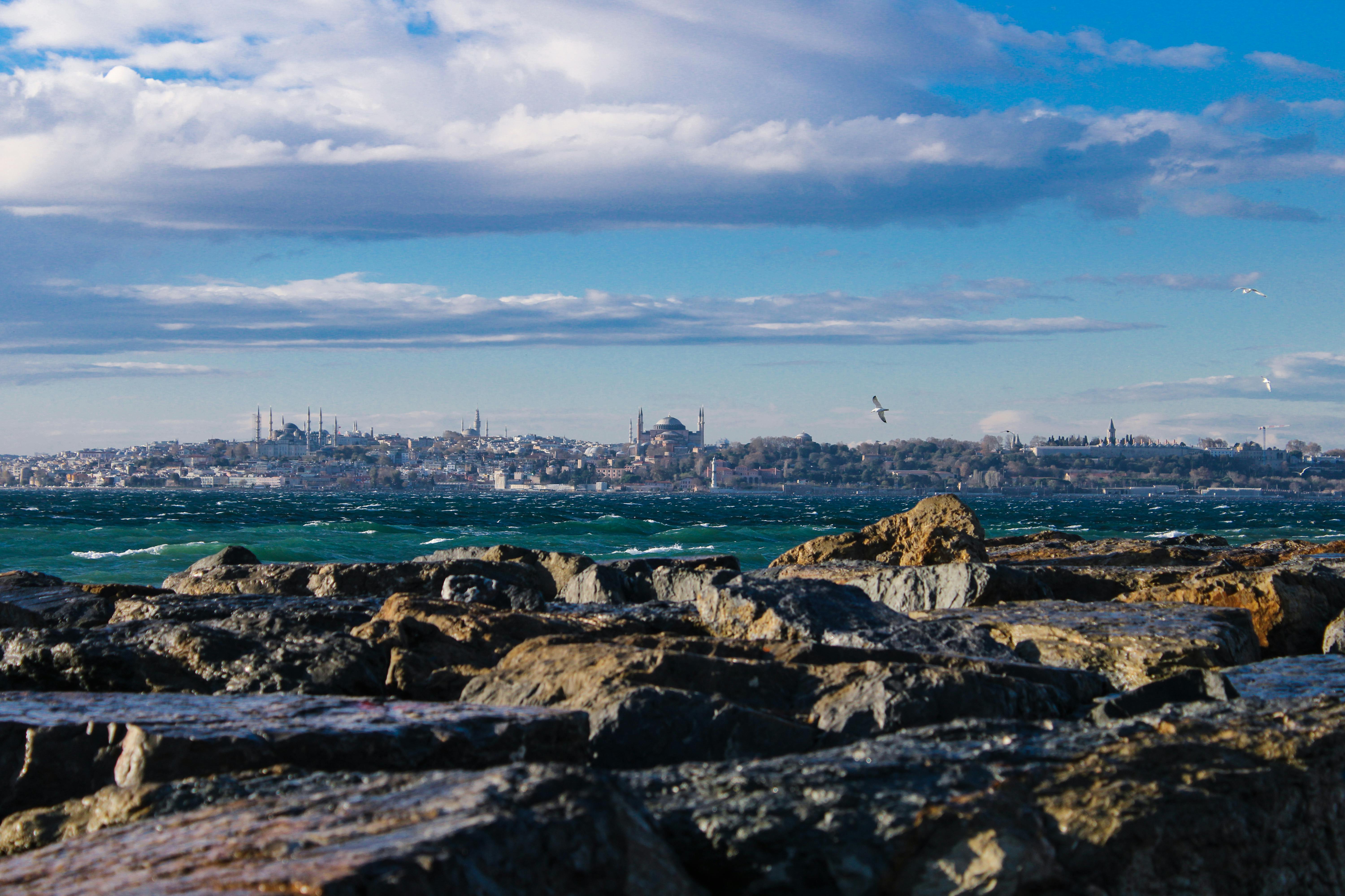 Panoramic Animation Photos, Download The BEST Free Panoramic Animation ...