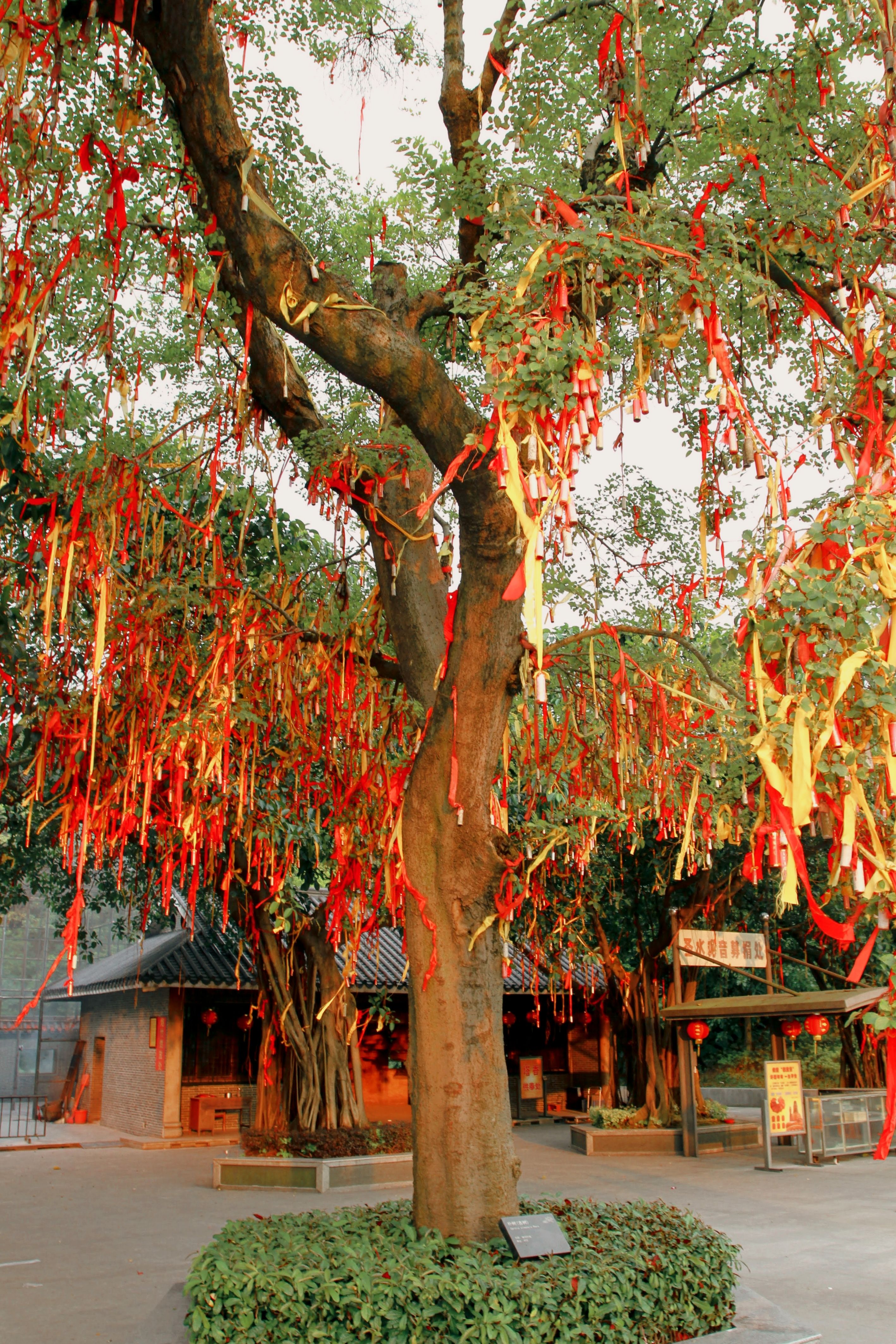Leaf Temple Photos, Download The BEST Free Leaf Temple Stock Photos ...