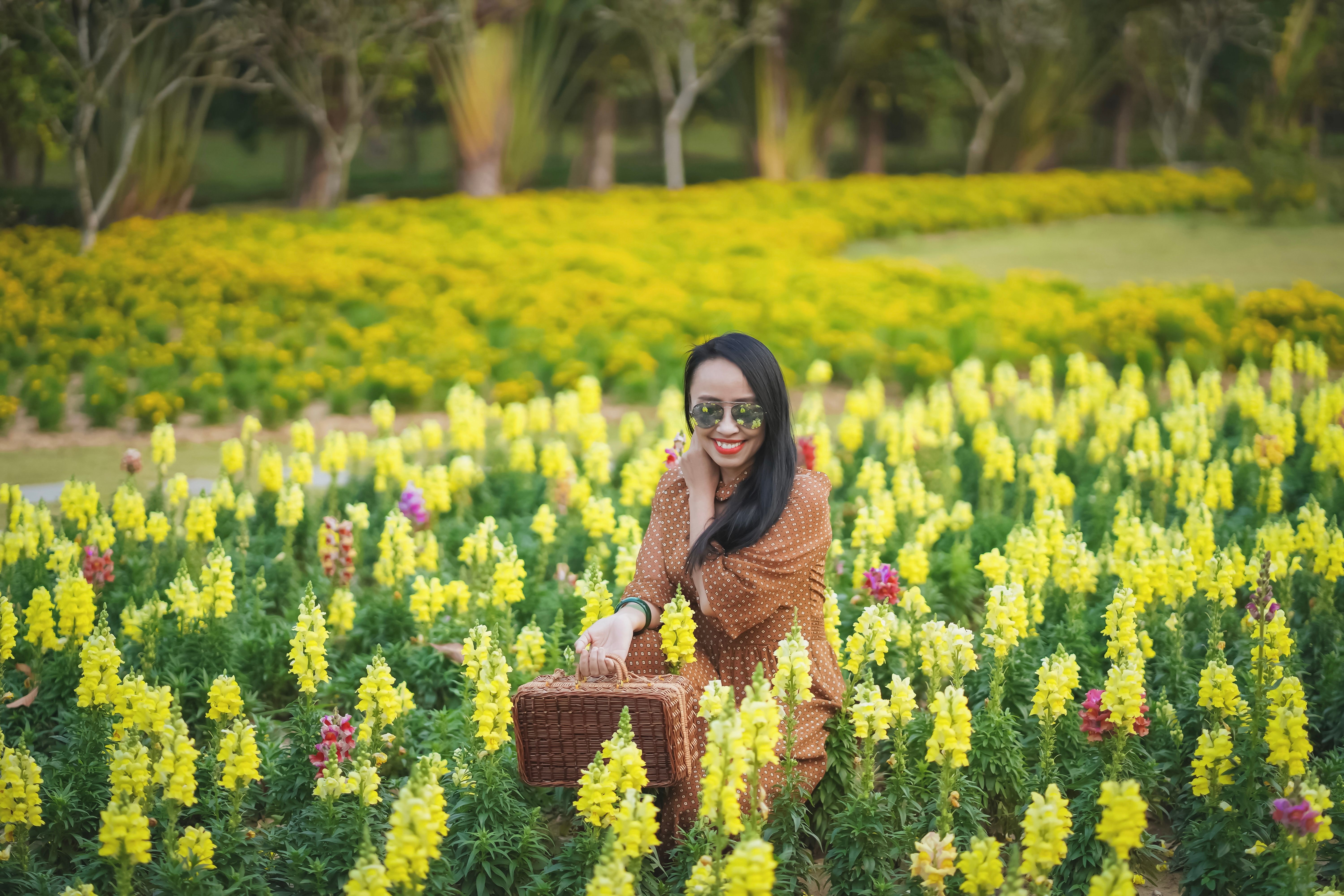 A Woman Sitting in a Field of Flowers · Free Stock Photo