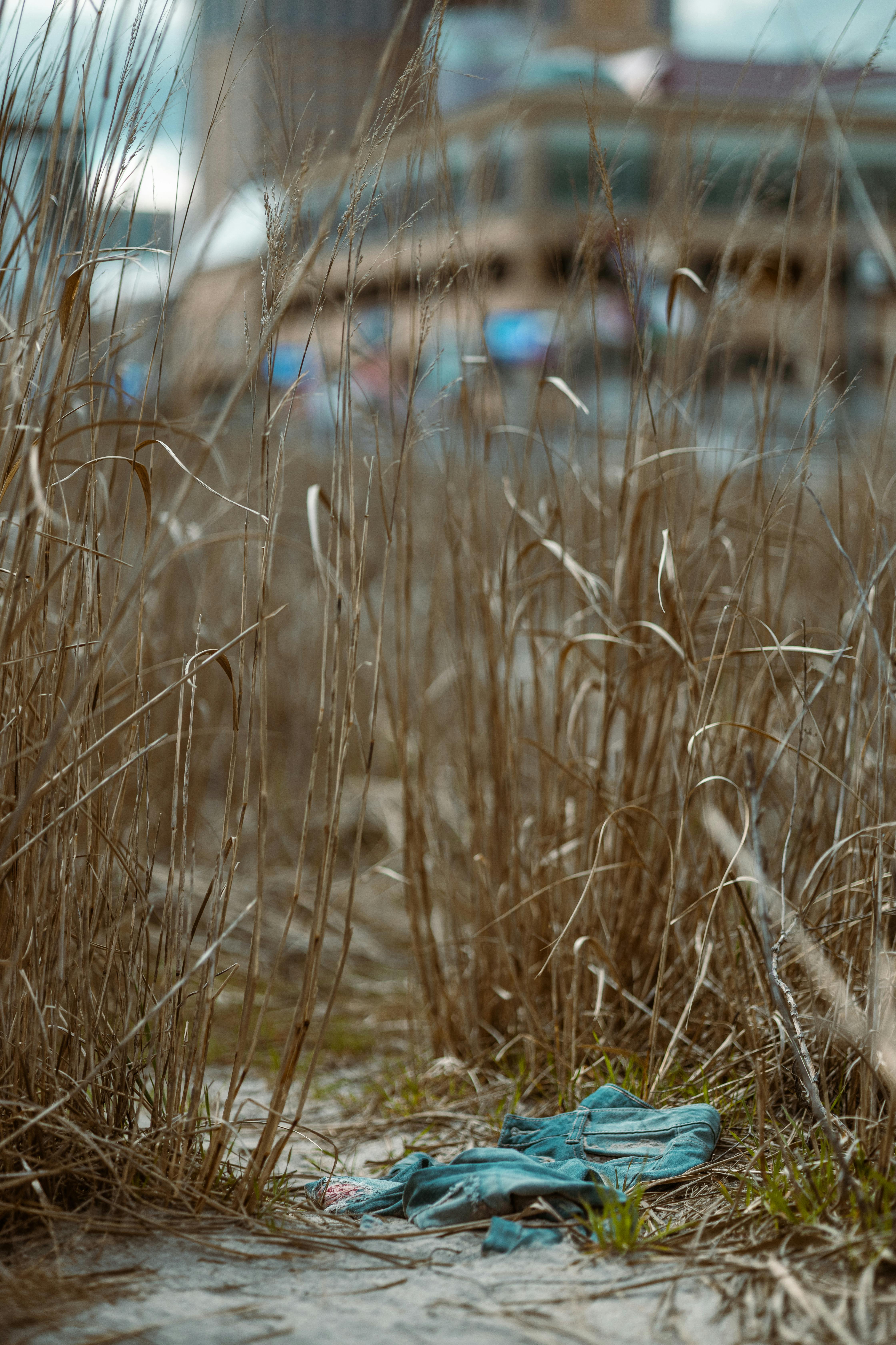 Discarded Clothing Photos, Download The BEST Free Discarded Clothing ...