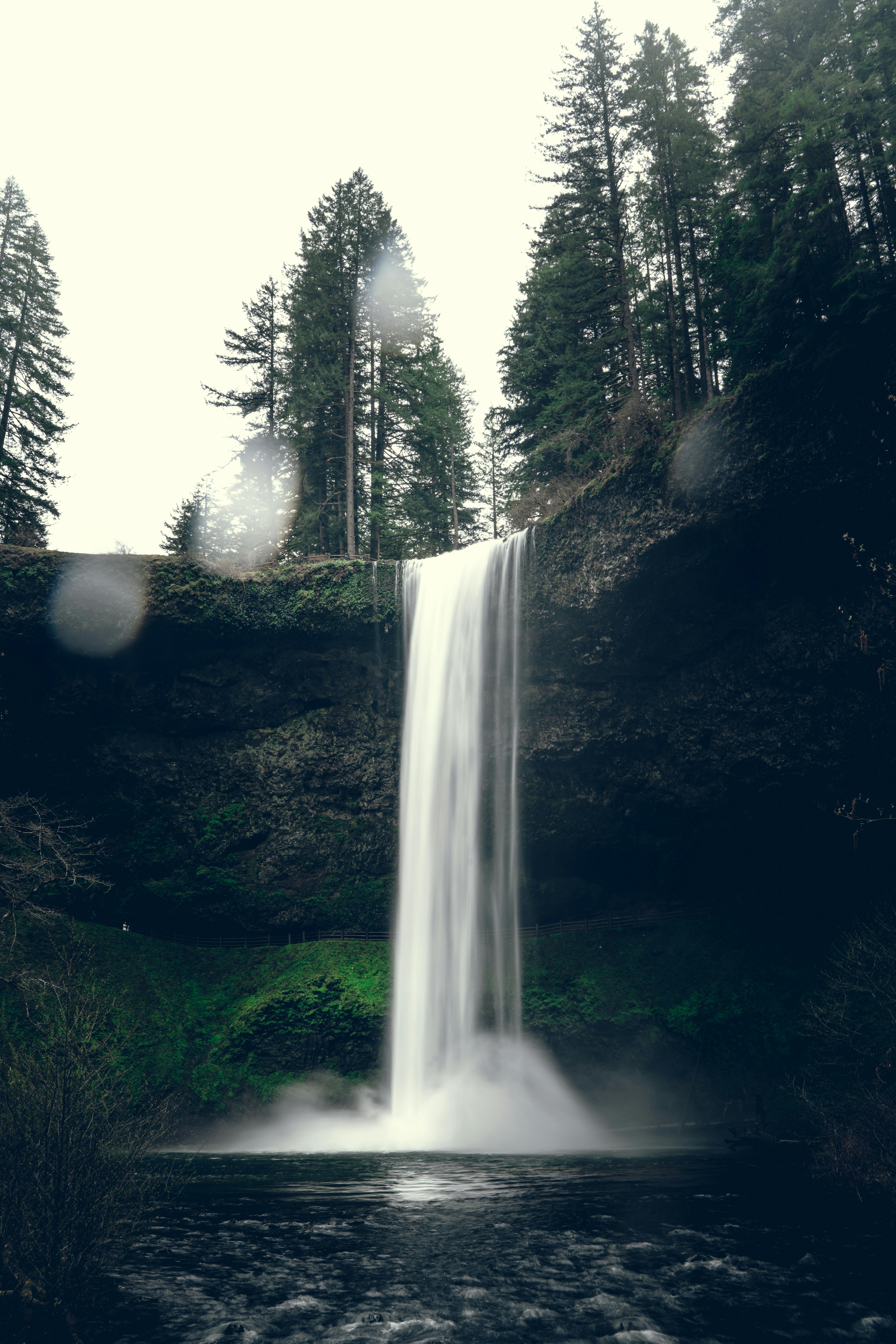 A Waterfall in the Forest · Free Stock Photo